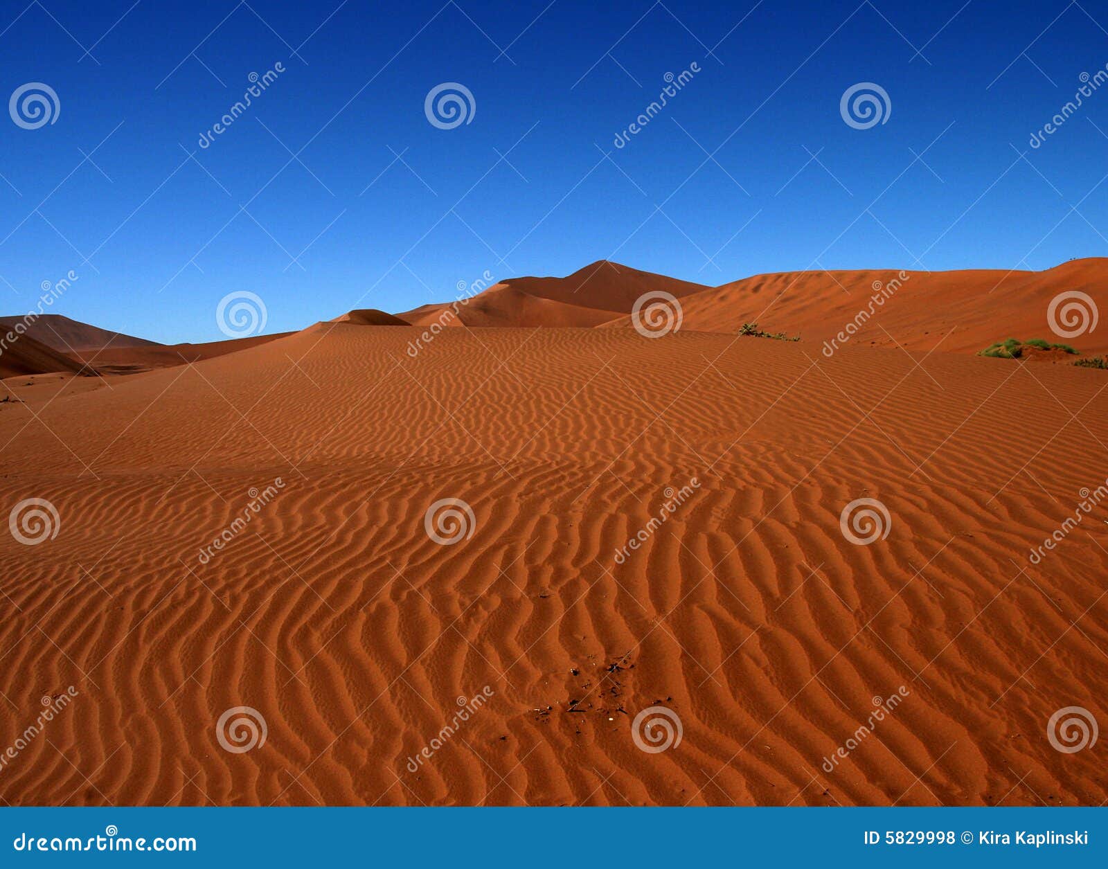 Mer orange, Namibie photo stock. Image du désert, afrique - 5829998