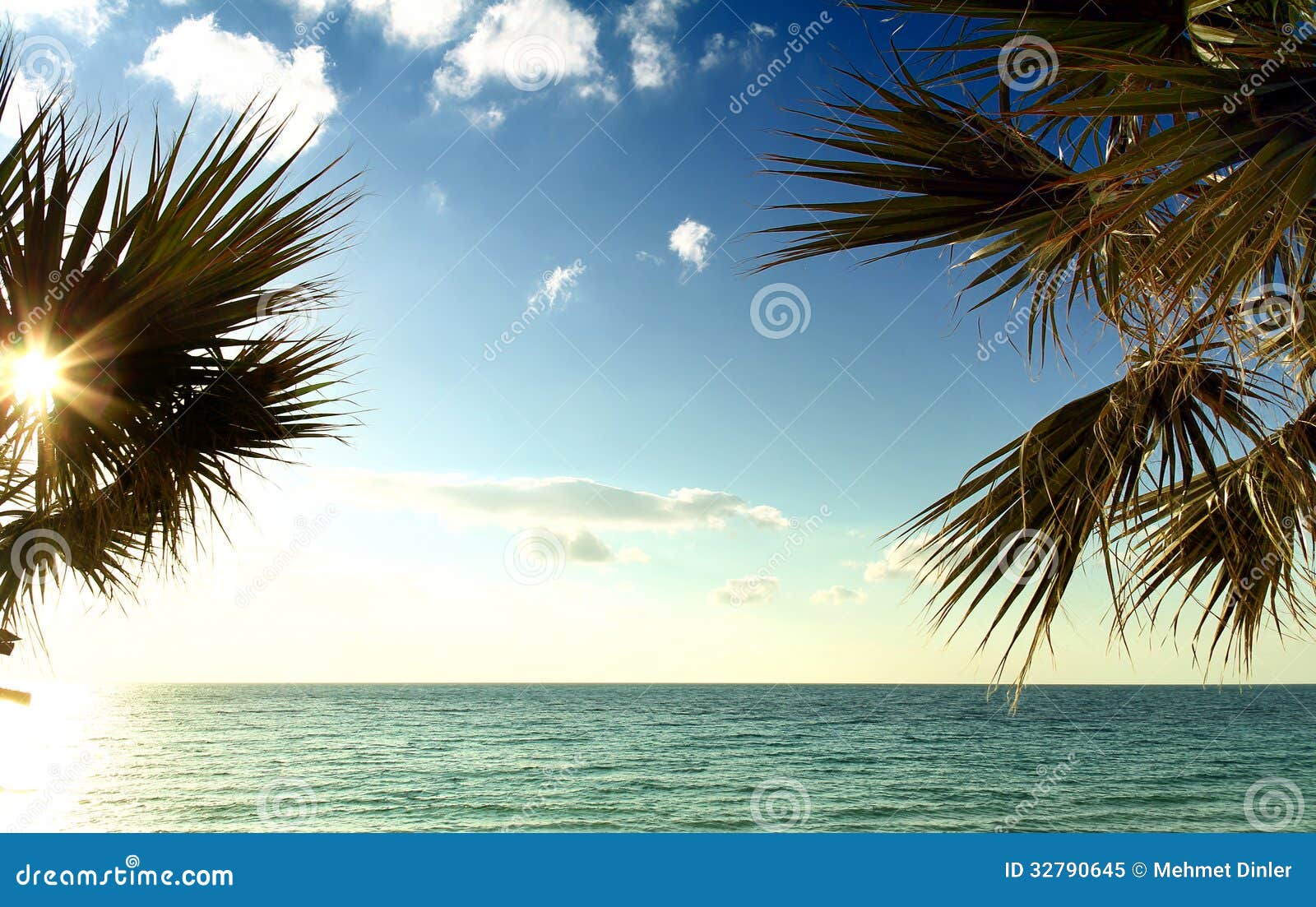 Mer Soleil Le Et Palmiers Photos Stock - Téléchargez 2,380 Photos ...