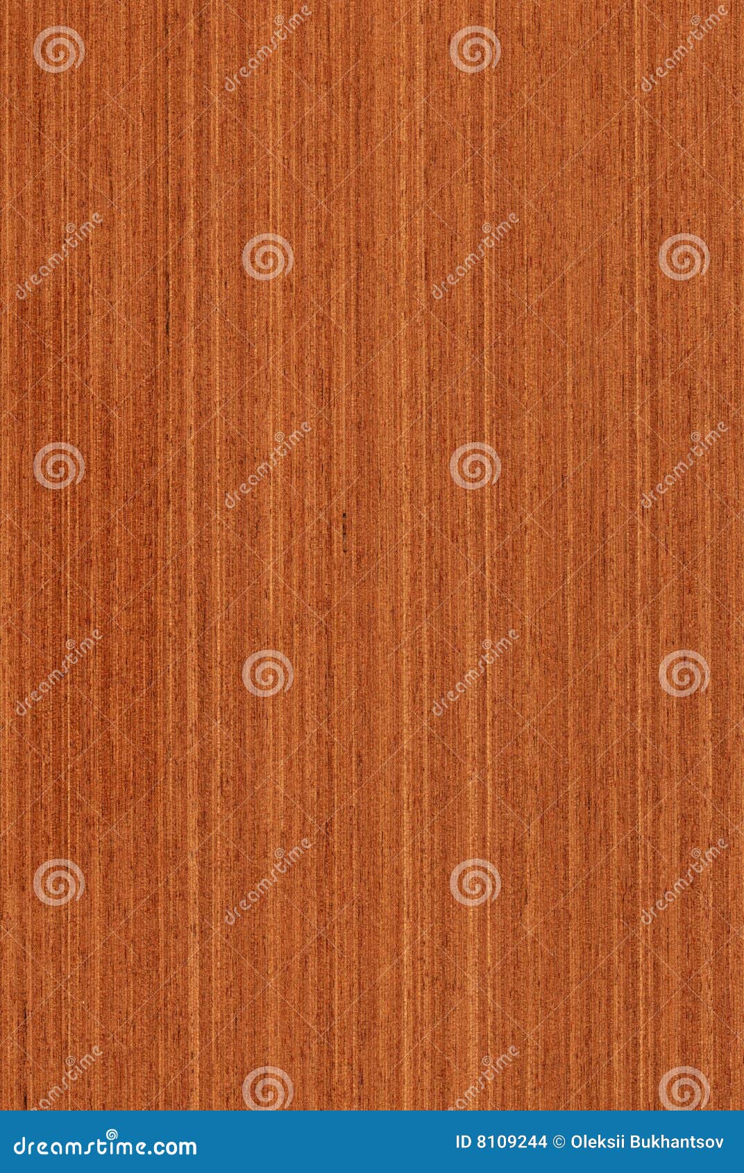Meranti (wood texture) stock photo. Image of brown, pattern - 8109244