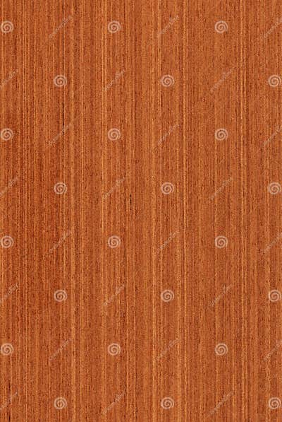 Meranti (wood texture) stock photo. Image of brown, pattern - 8109244