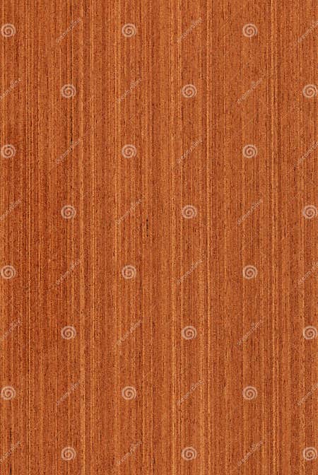 Meranti (wood texture) stock photo. Image of brown, pattern - 8109244