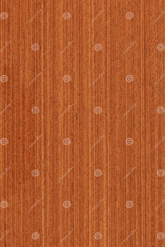 Meranti (wood texture) stock photo. Image of brown, pattern - 8109244