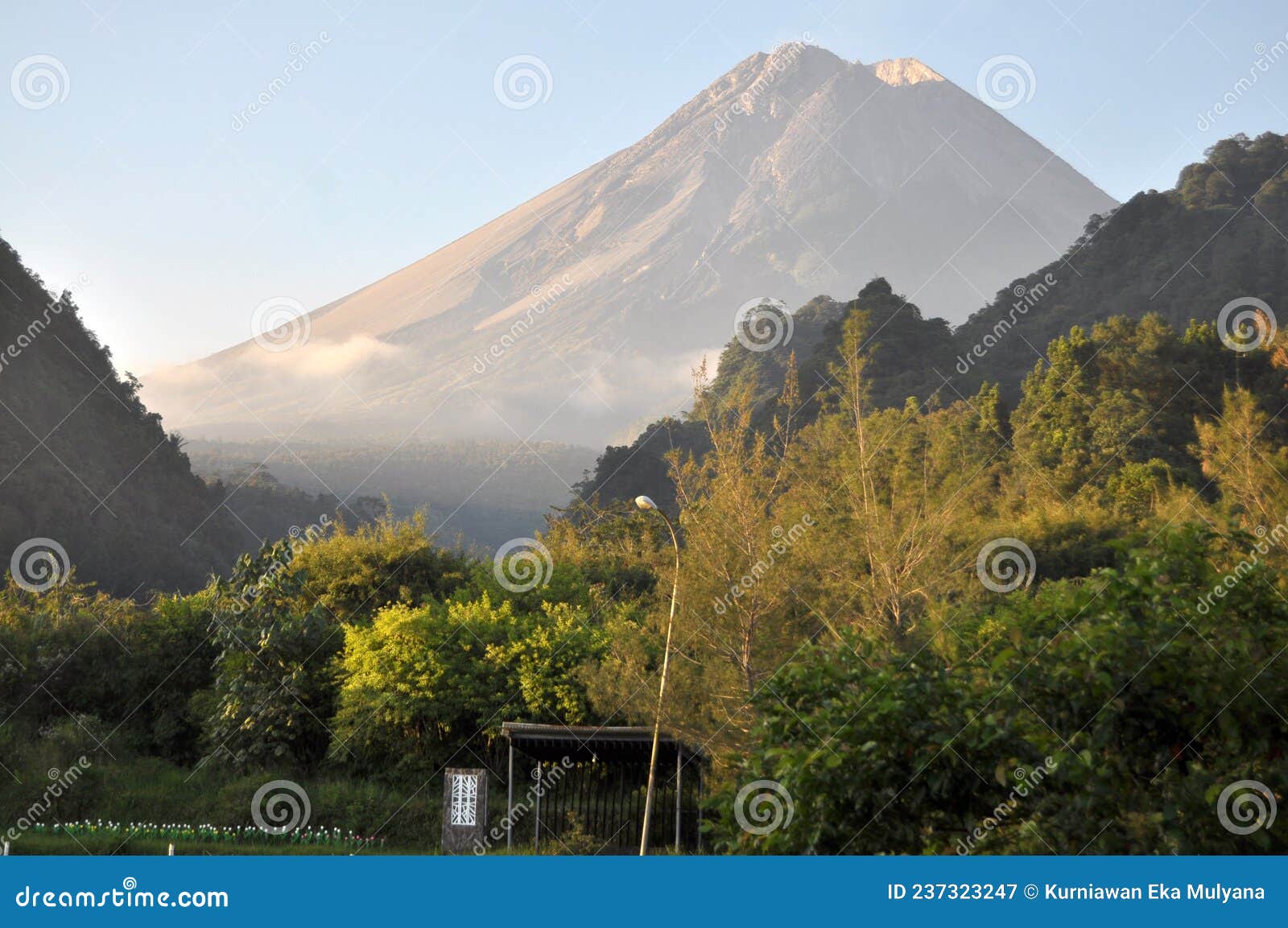 Merapi Volcano Behind the Forest Stock Image - Image of active, morning ...