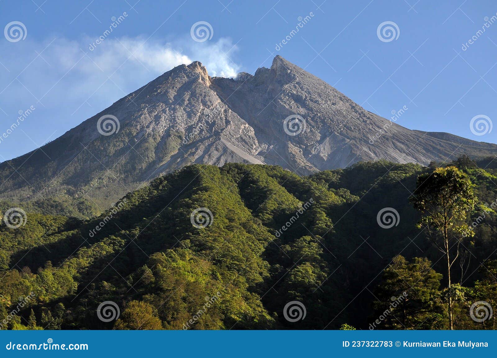 Merapi Volcano and Trees stock image. Image of trees - 237322783
