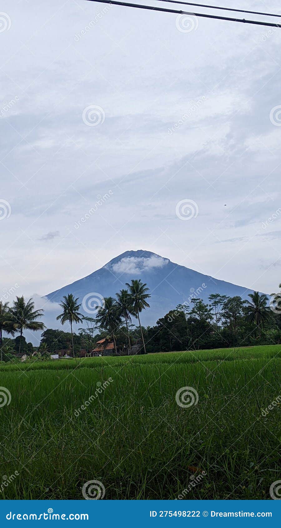 Merbabu Mountain capture stock photo. Image of green - 275498222