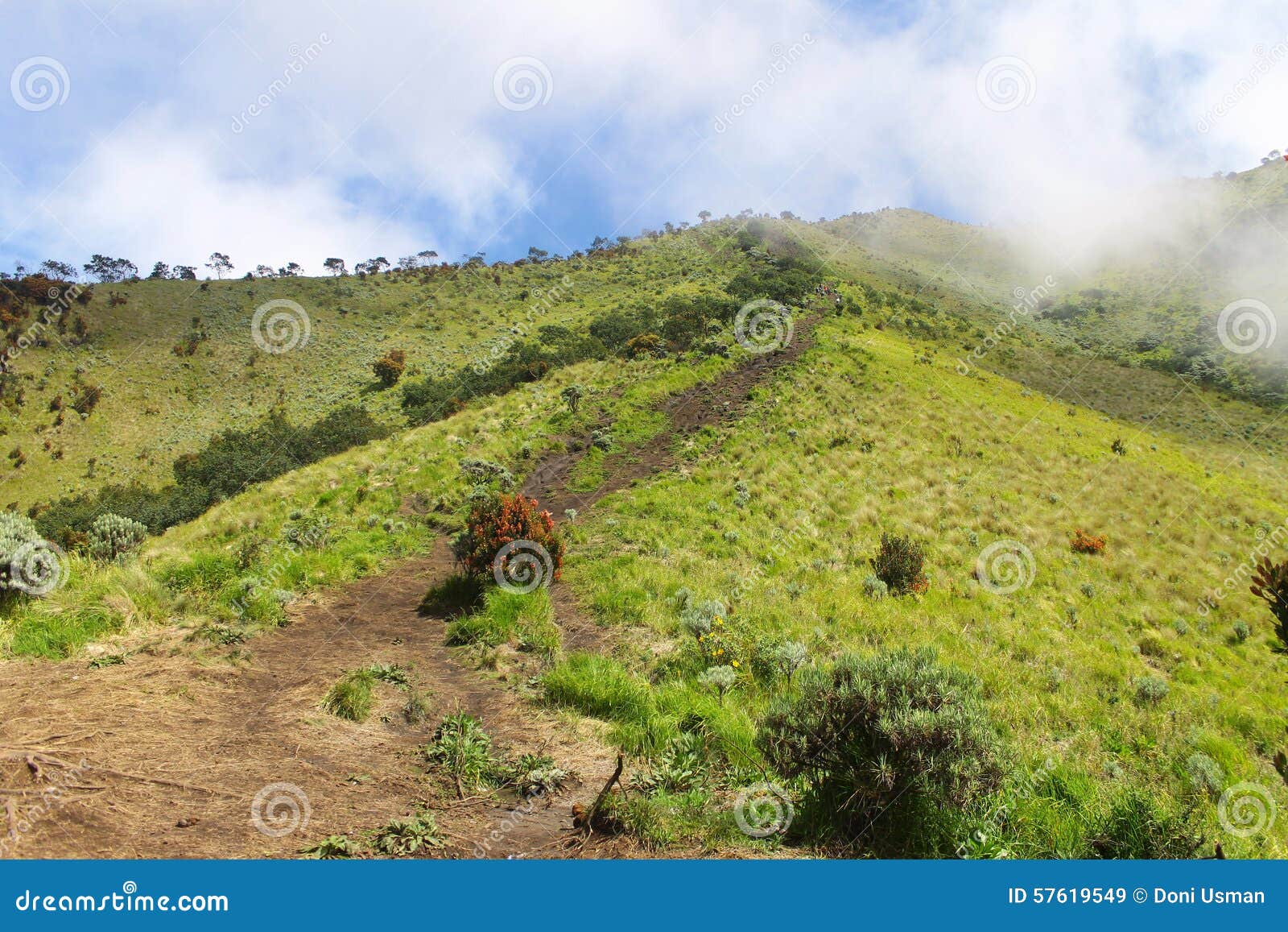 Merbabu mountain stock image. Image of safana, mountain - 57619549 Merbabu mountain stock image. Image of safana, mountain - 57619549