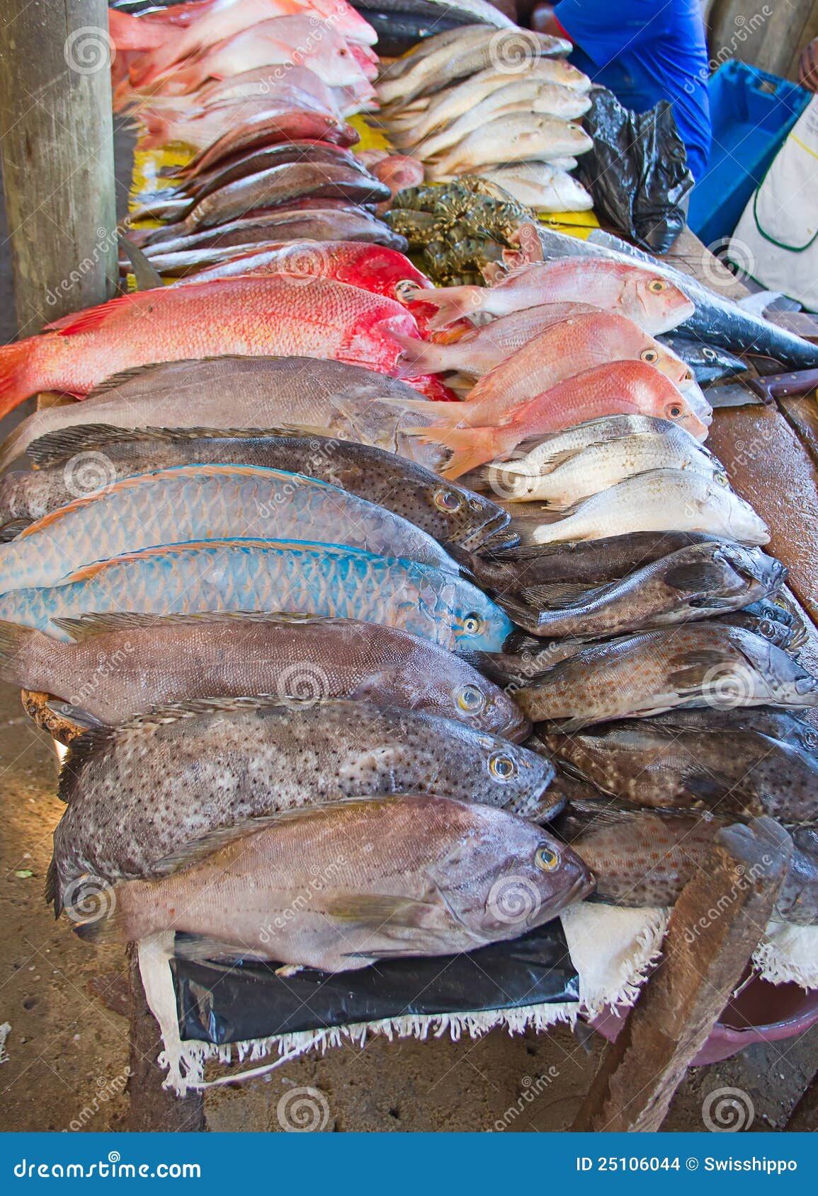 Mercado De Peixes De Maputo Foto de Stock - Imagem de mercado, compra ...
