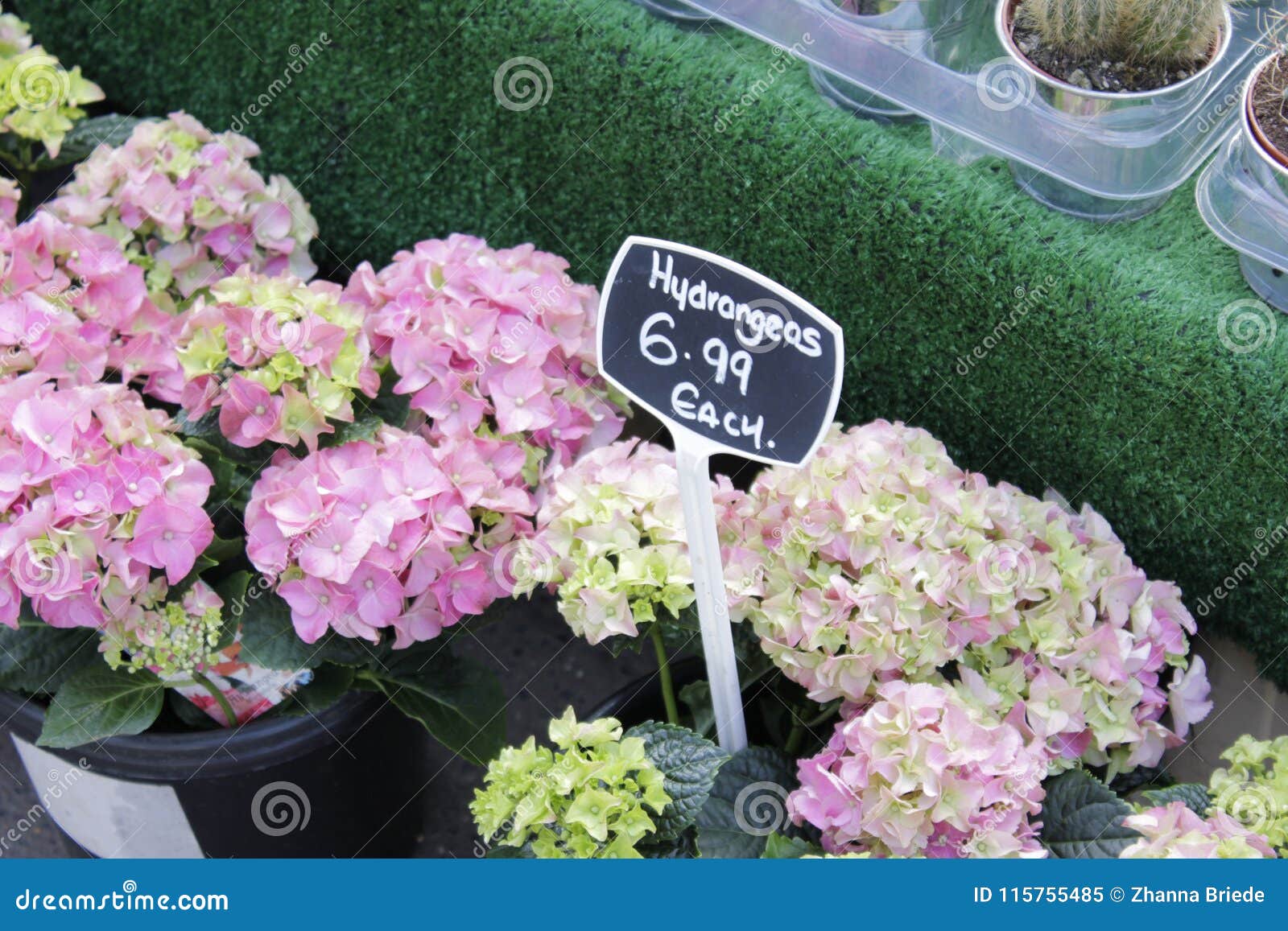 Mercado Tradicional De La Flor En York Imagen editorial - Imagen de ...