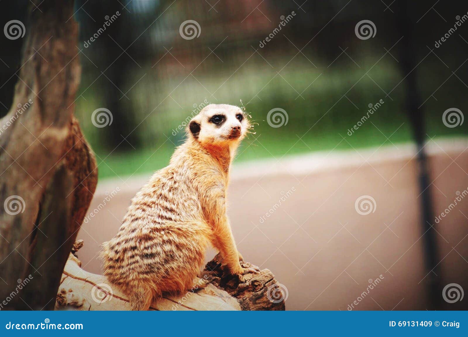 Mercat editorial stock image. Image of south, lookout - 69131409