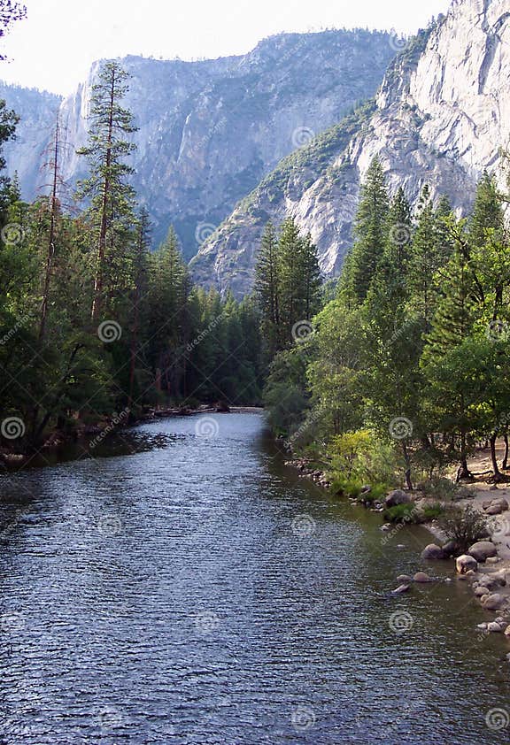 Merced River stock photo. Image of ripples, evergreen, vacation - 8054