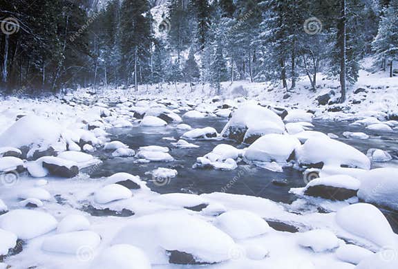 Merced River in Winter stock photo. Image of park, nature - 26261320