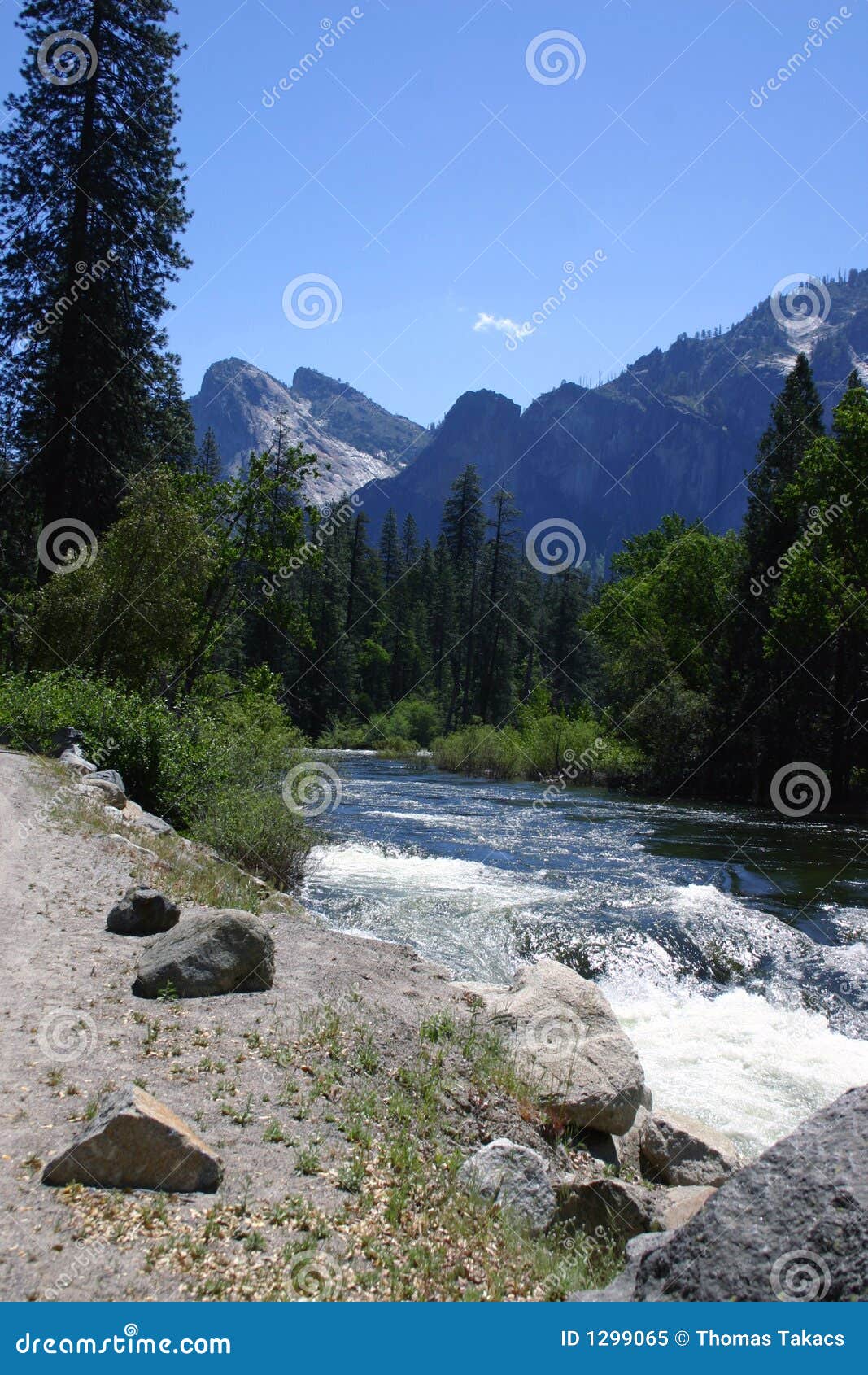 Merced River - Yosemite stock image. Image of america - 1299065