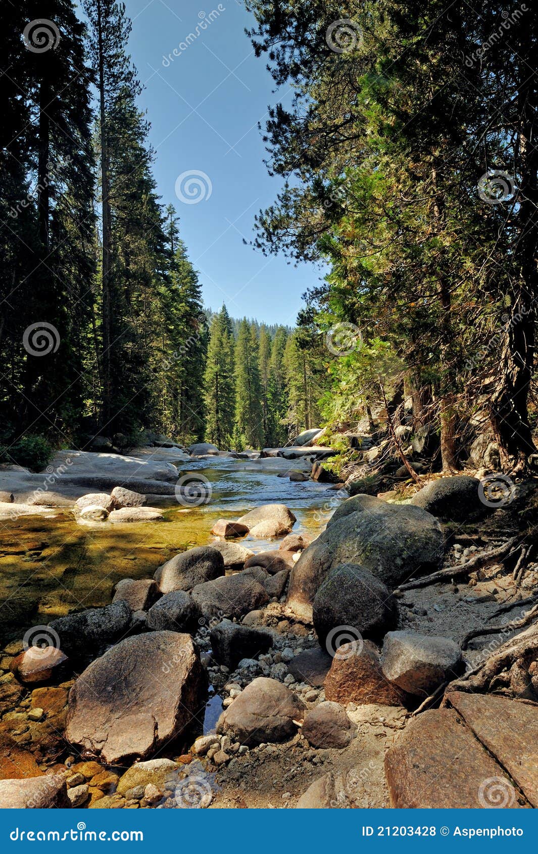 Merced River, Yosemite Valley Stock Photo - Image of creek, skies: 21203428