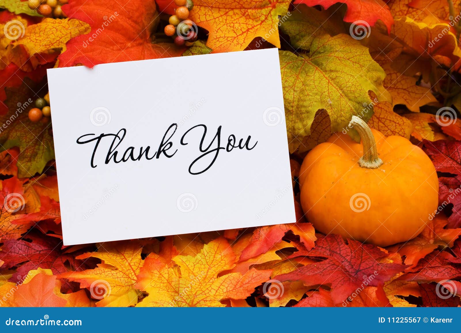 Merci image stock. Image du lames, merci, courge, automne - 11225567