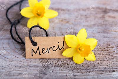 Merci stock image. Image of backdrop, friends, gratitude - 38601269