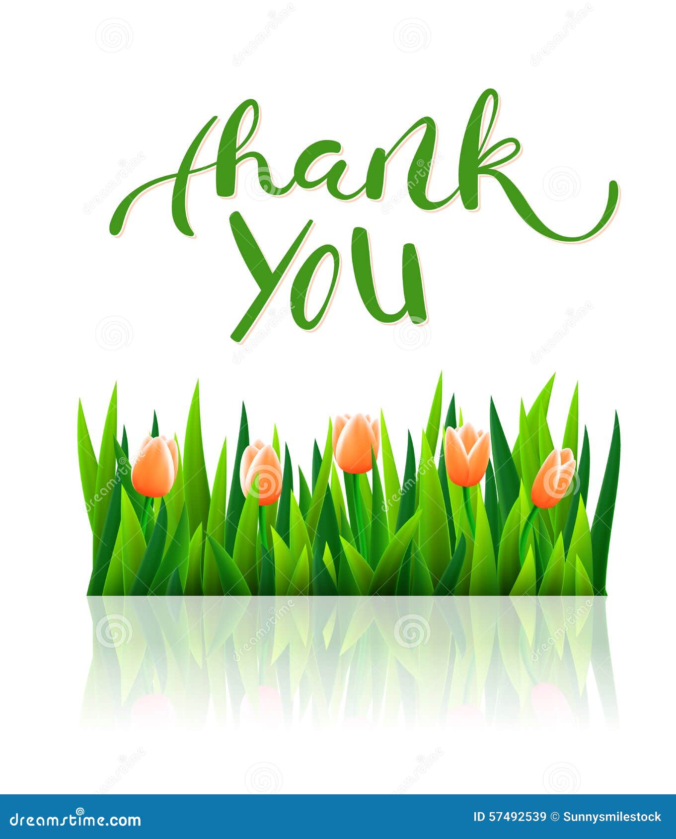 Merci Avec Des Fleurs De Tulipe Illustration Stock - Illustration du ...