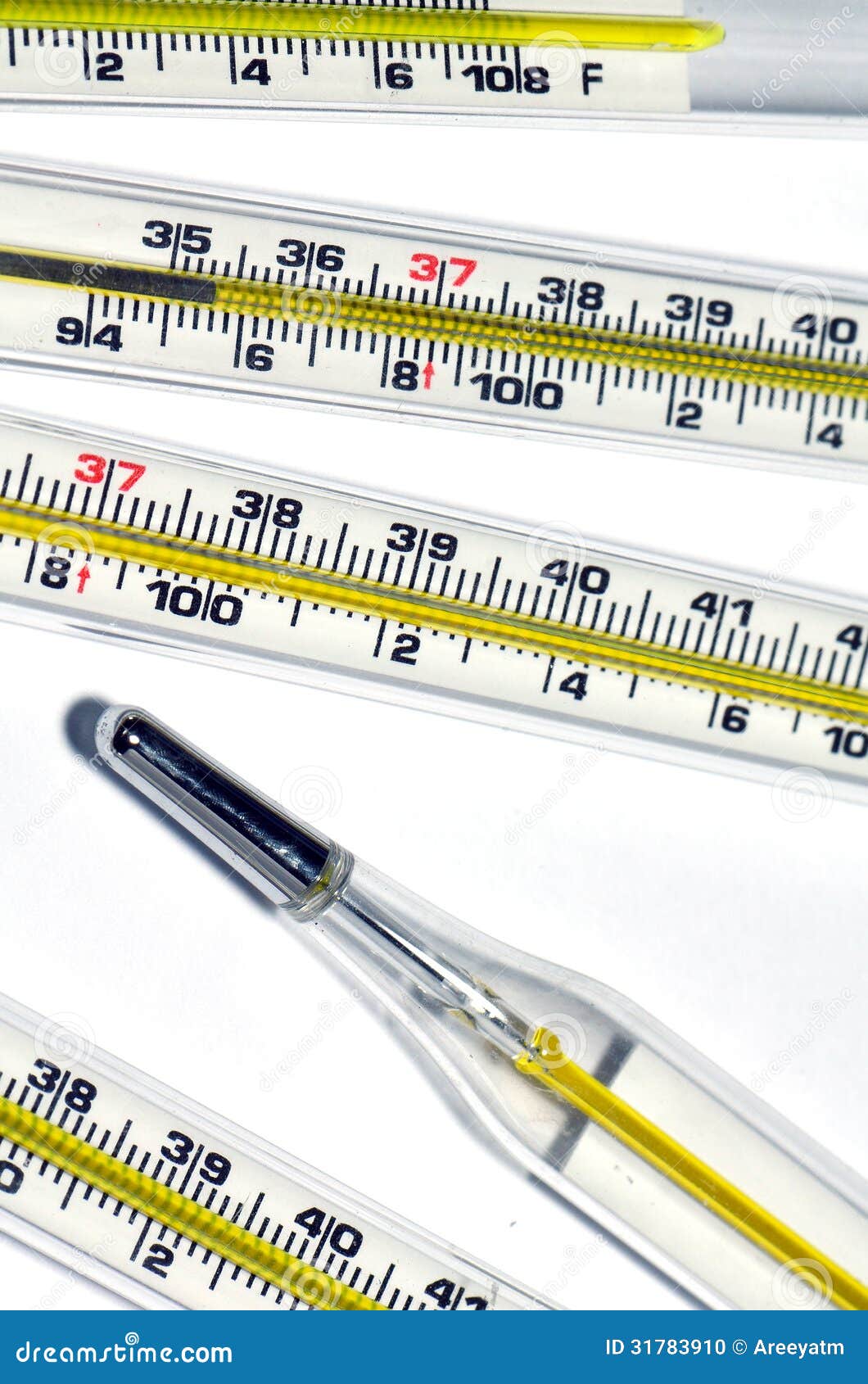 Oral Mercury Thermometer