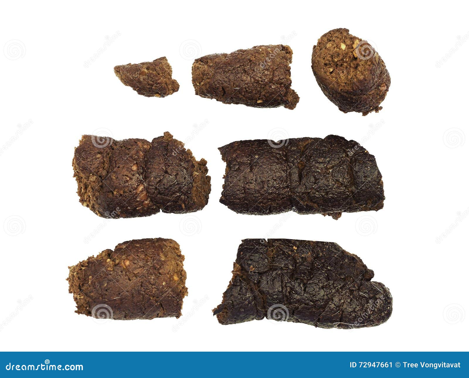 Merda di cane immagine stock. Immagine di cane, odore - 72947661