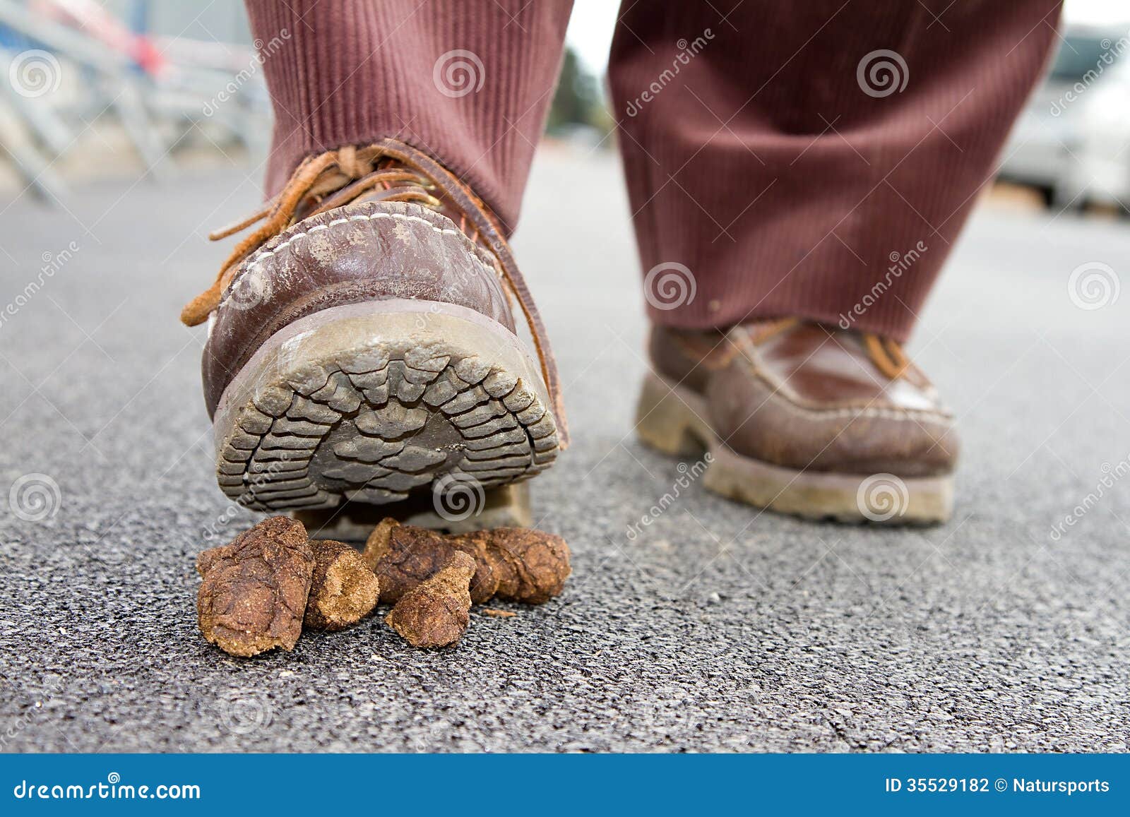 Merde de chien photo stock. Image du pagaille, caca, crabot - 35529182