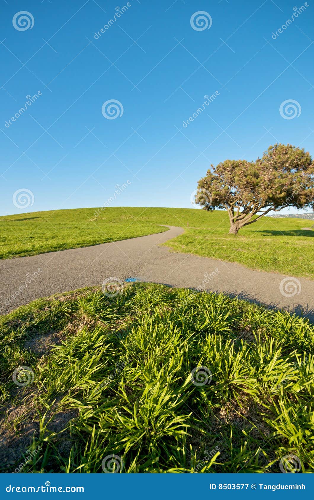 Merging Path on Green Landscape and Blue Sky Stock Image - Image of ...