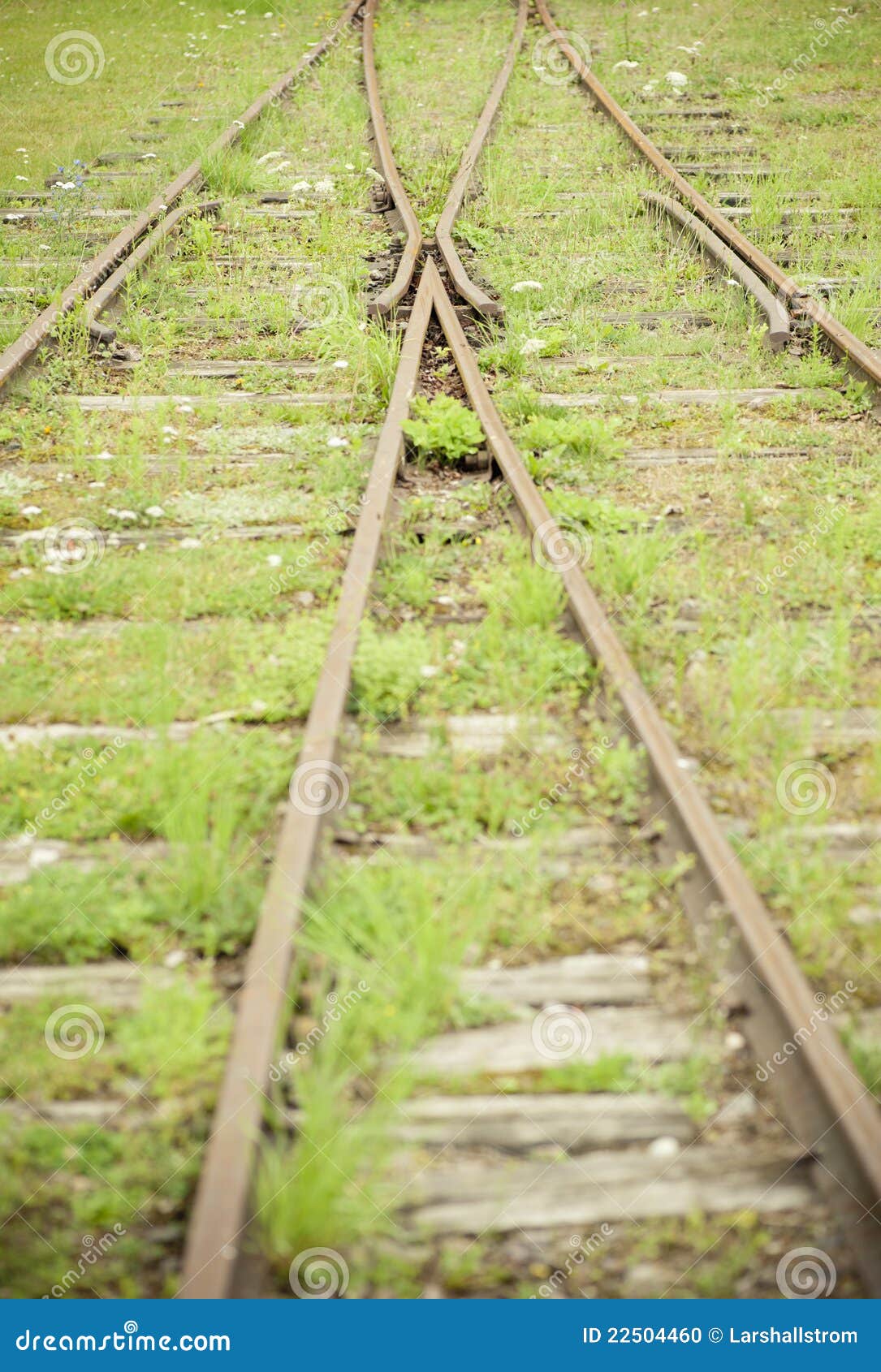 Merging railway lines stock photo. Image of track, exterior - 22504460