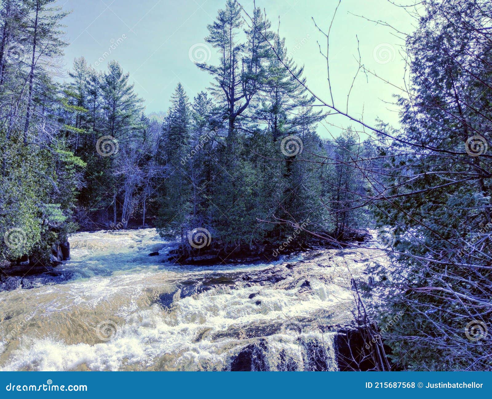 Merging rapids stock photo. Image of stream, woodland - 215687568