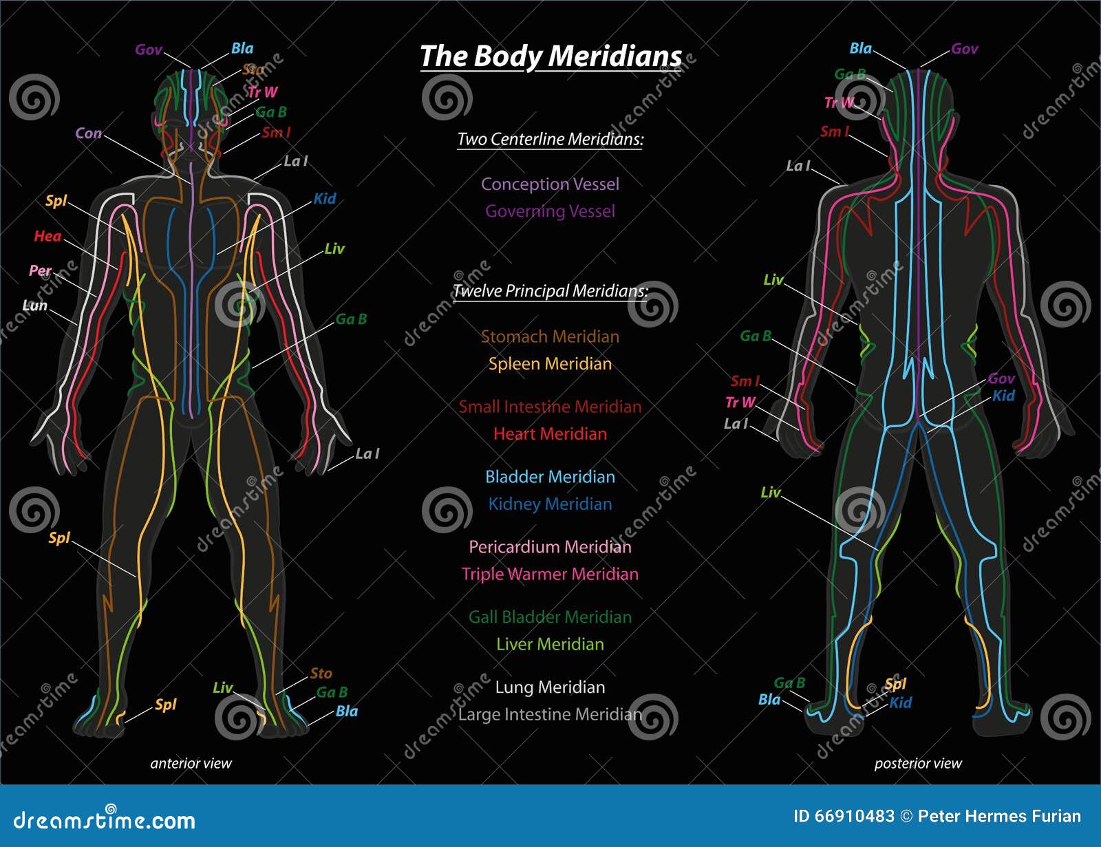 Meridian Cartoons Illustrations And Vector Stock Images 8196 Pictures To Download From