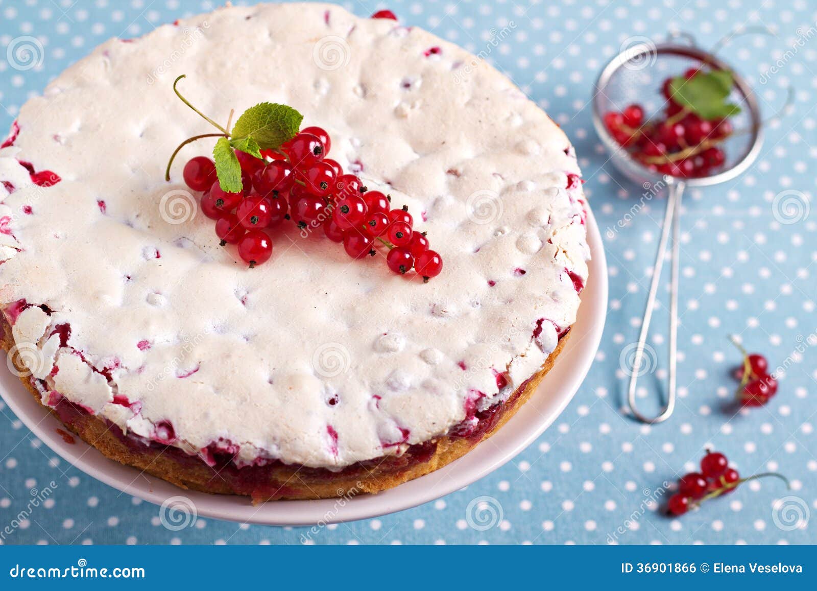 Meringue red currant cake stock photo. Image of dessert - 36901866