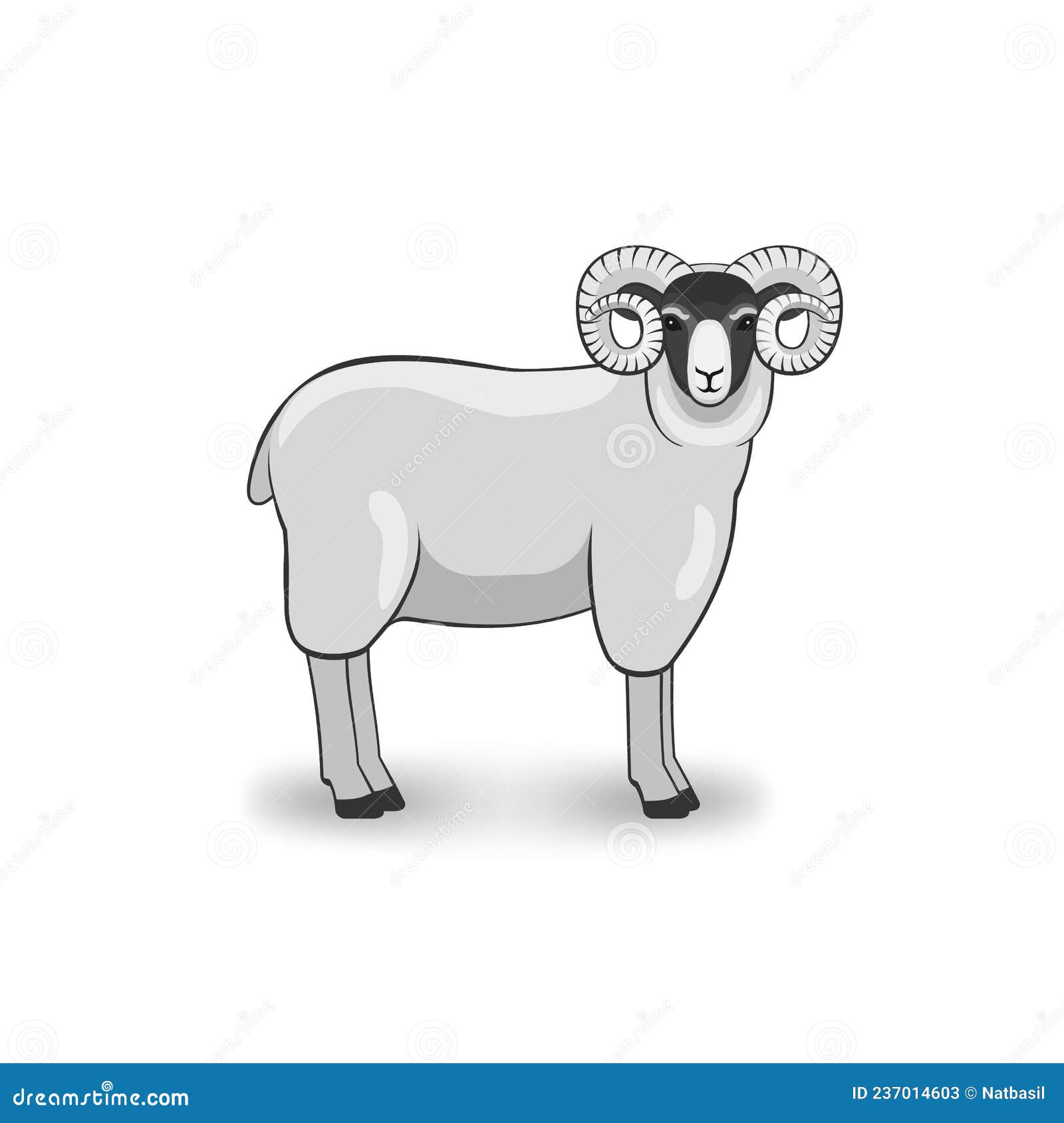 Merino Ram on White Background Stock Vector - Illustration of farm ...