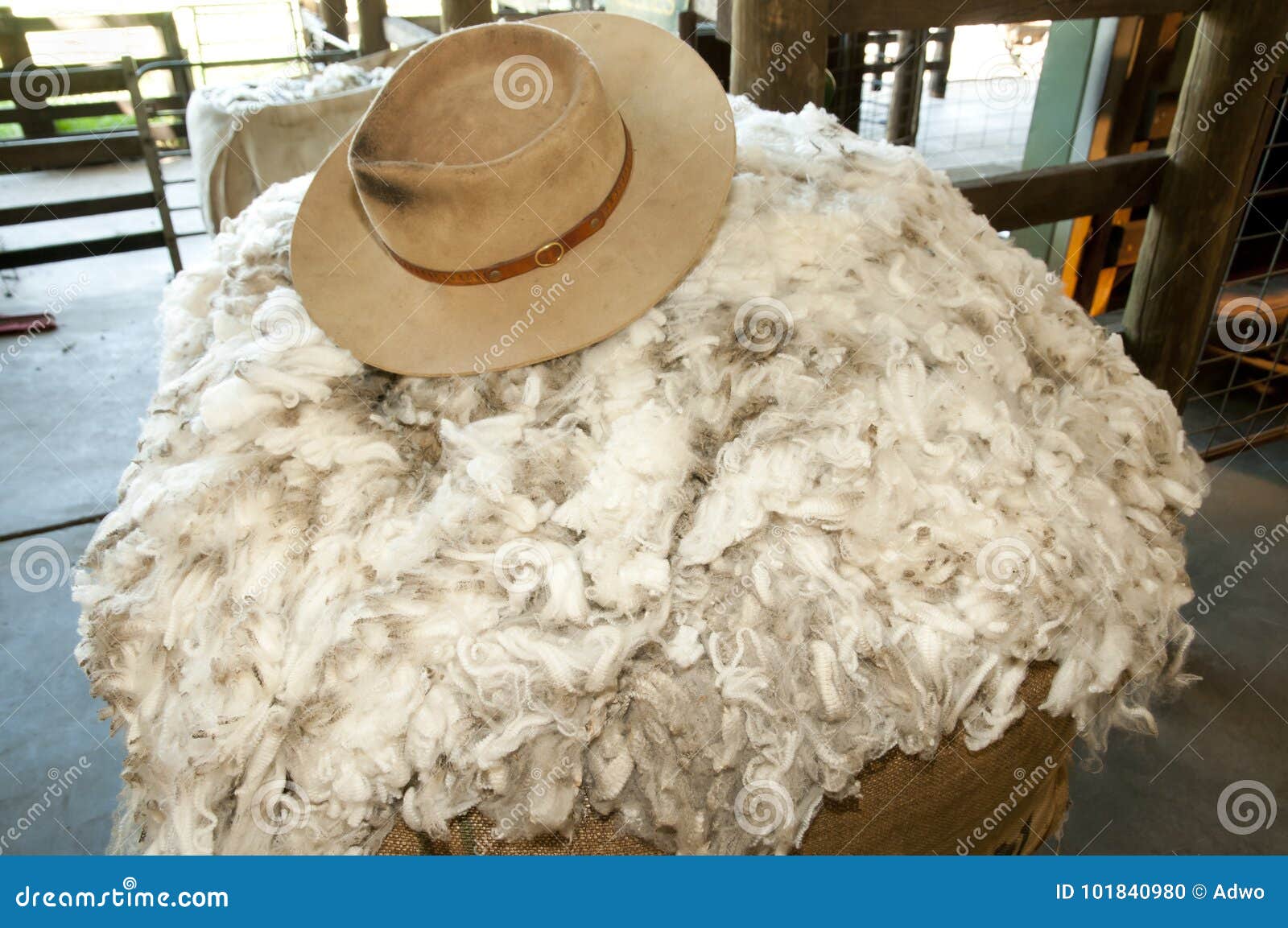 Merino Sheep Wool stock photo. Image of fleece, craft - 101840980