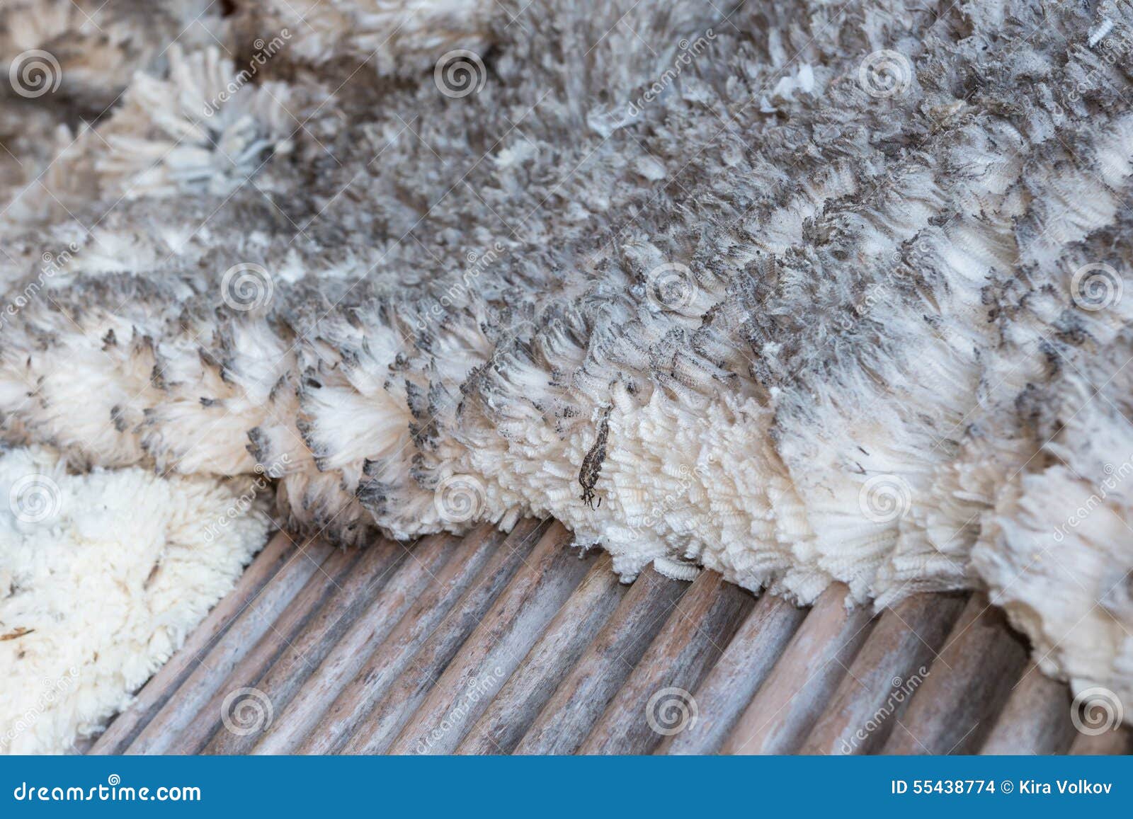 Merino Wool on Wooden Sorting Table Stock Photo - Image of bulk ...