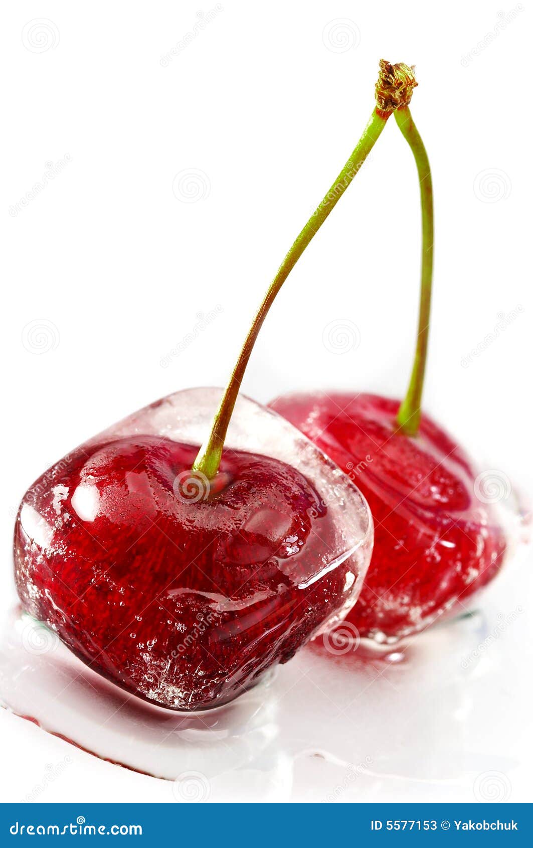 Merise image stock. Image du nature, sain, frais, personne - 5577153