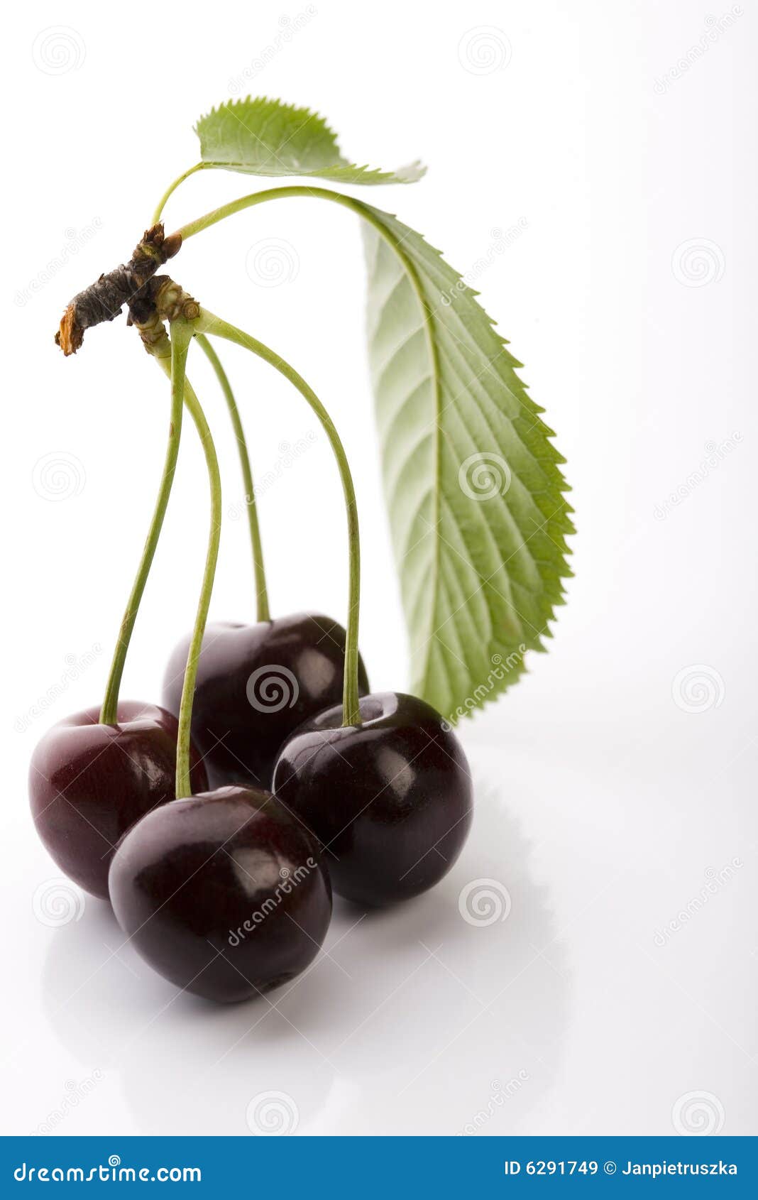 Merise - fruit doux image stock. Image of détail, rond - 6291749