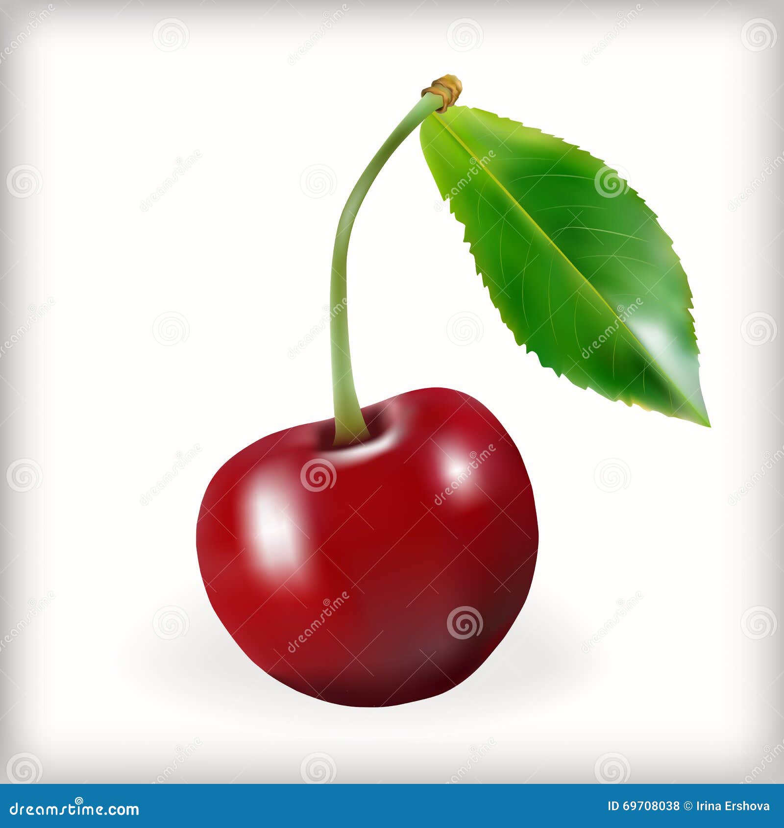 Merise, icône illustration stock. Illustration du savoureux - 69708038