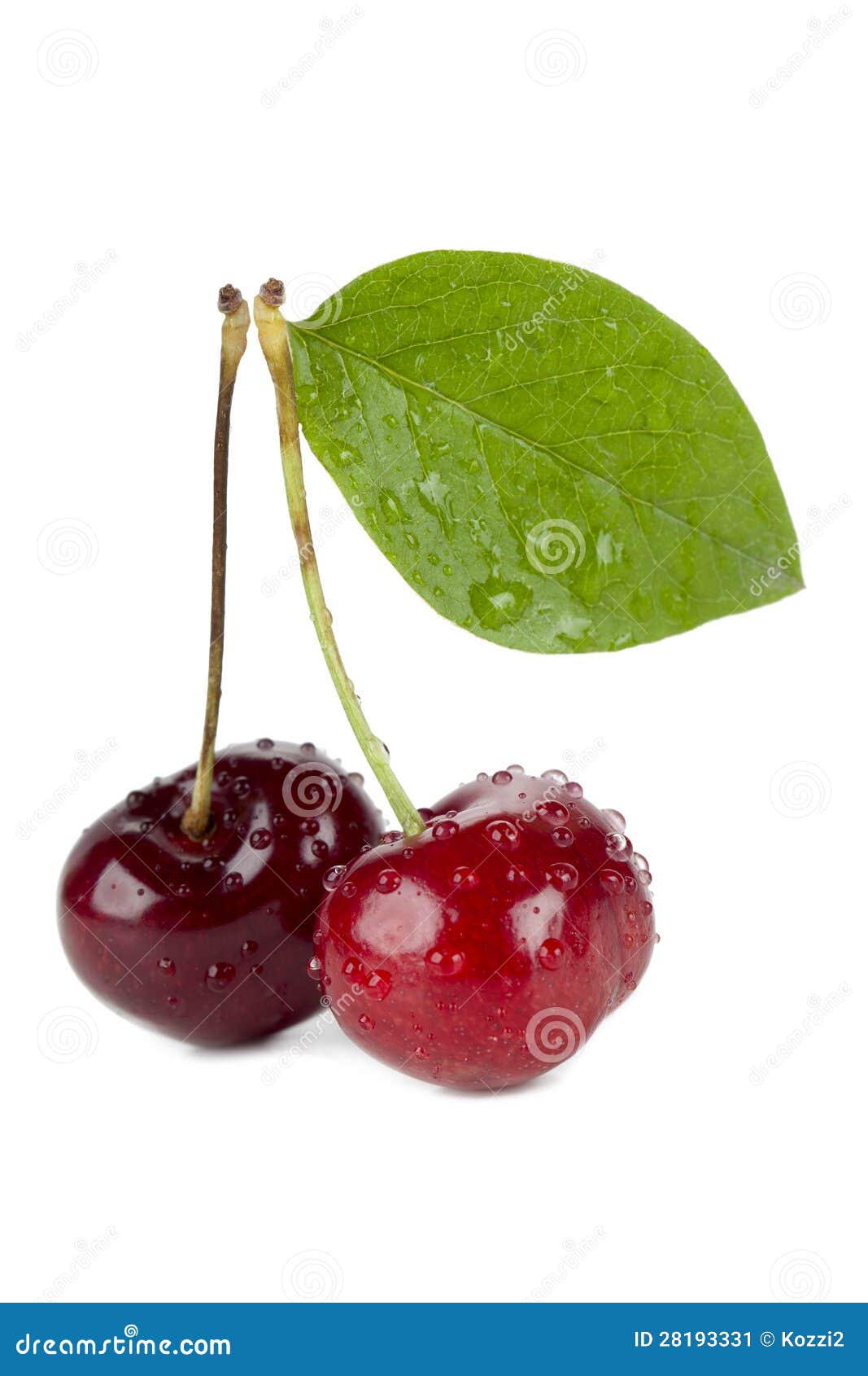 Merises image stock. Image du drupes, nutritif, régime - 28193331