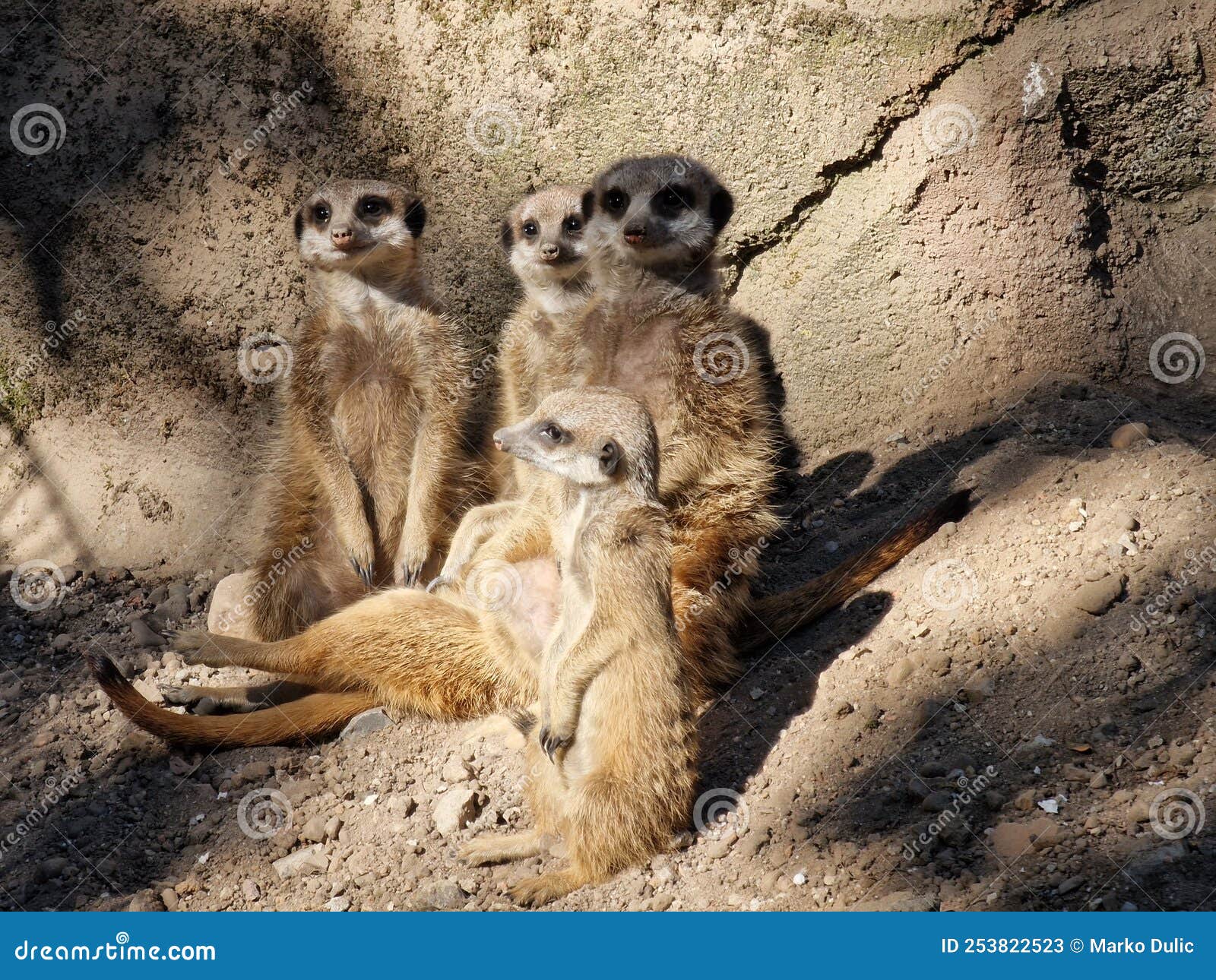 Merkator Photos - Free & Royalty-Free Stock Photos from Dreamstime