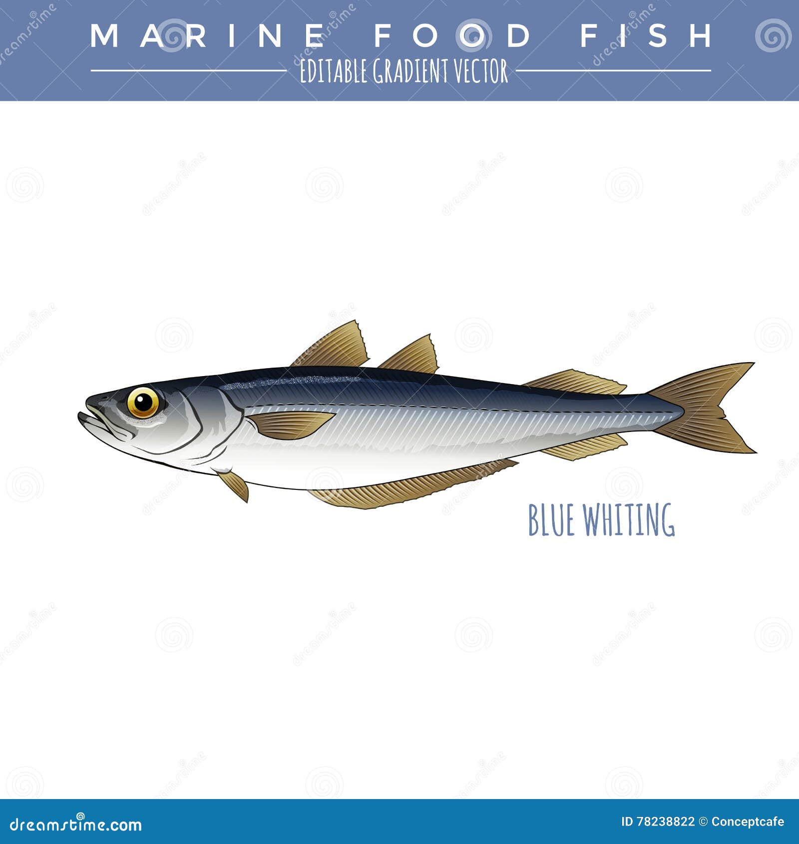 Merlans Bleus Marine Food Fish Illustration de Vecteur - Illustration ...