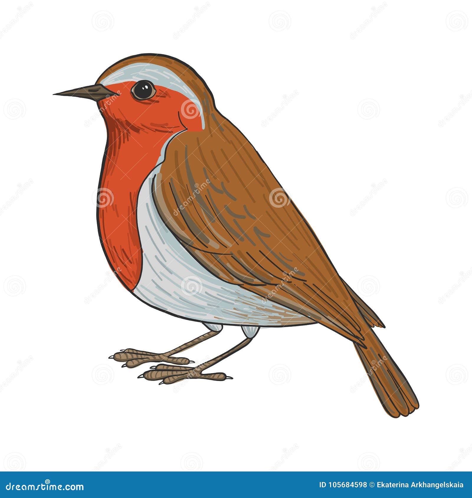 Merle de dessin de vecteur illustration de vecteur. Illustration du ...