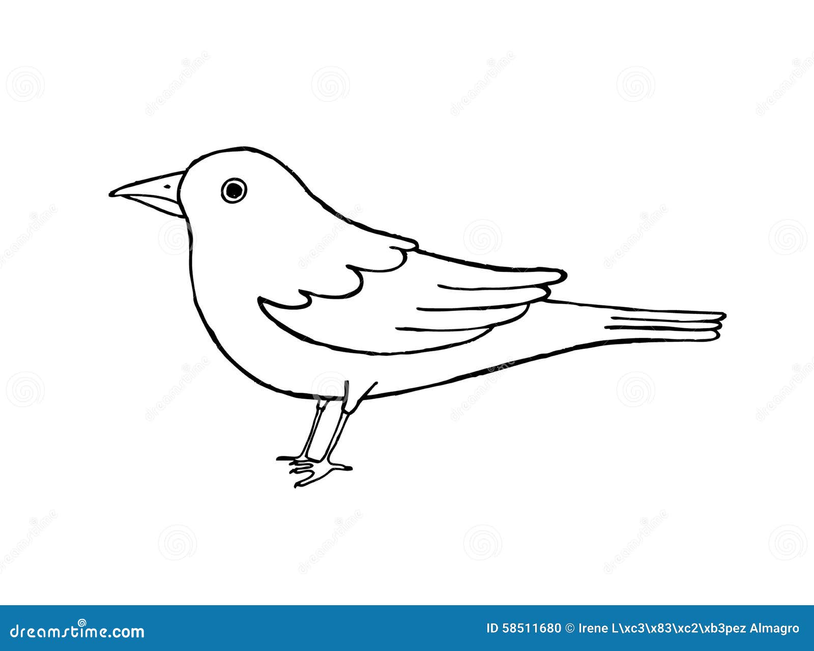 Merle noir et blanc illustration de vecteur. Illustration du nature ...