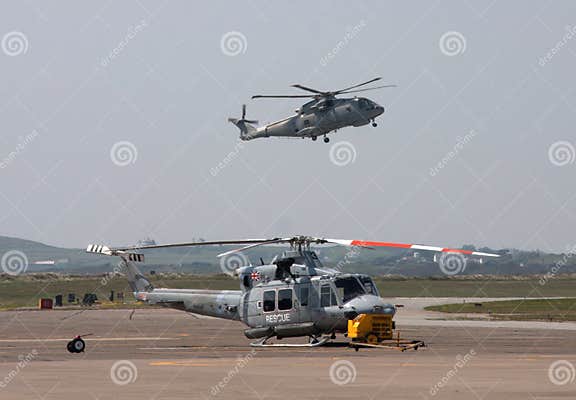 MERLIN et griffon image stock. Image du wales, rouge - 25153583