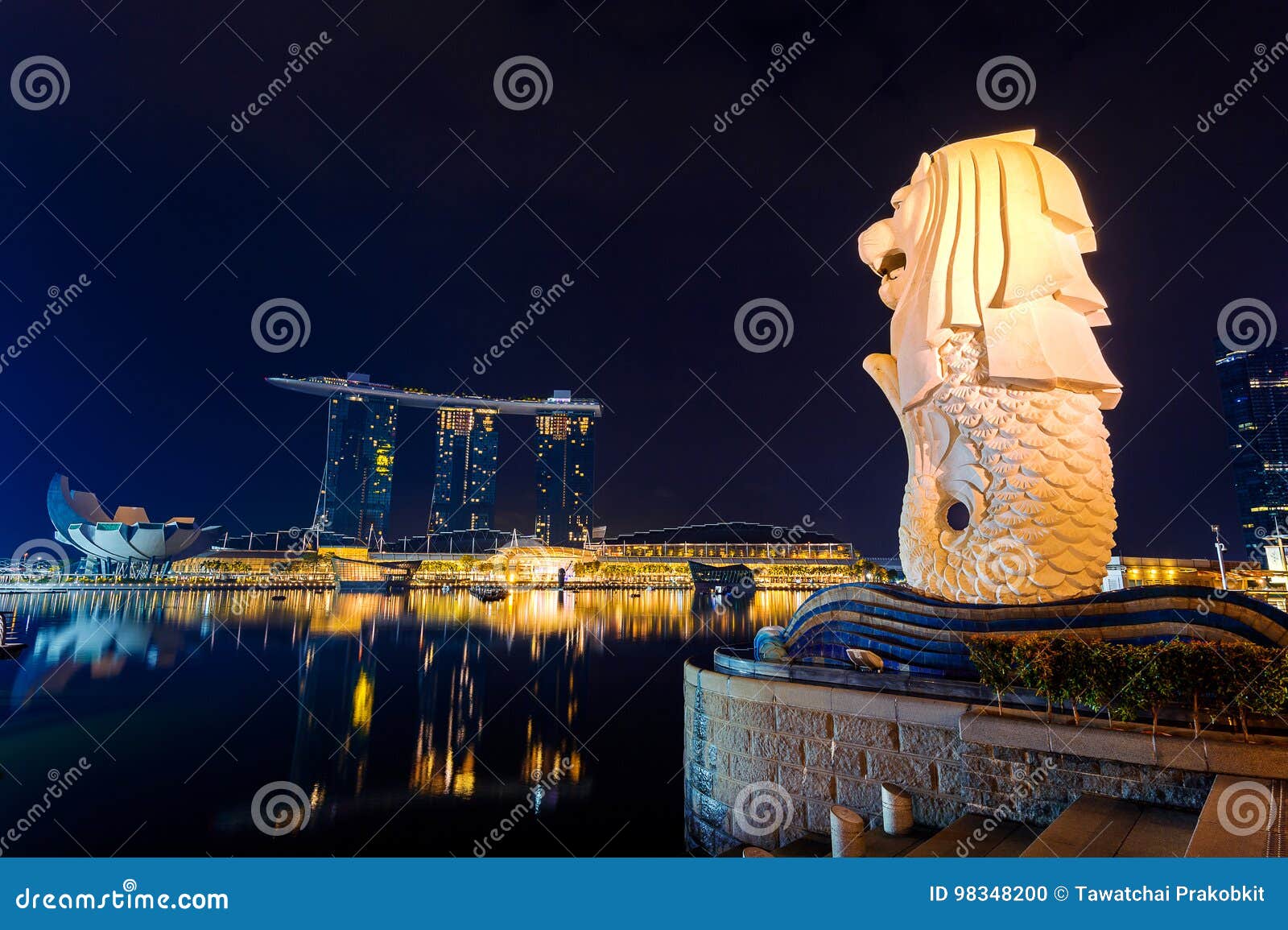 Merlion At Night