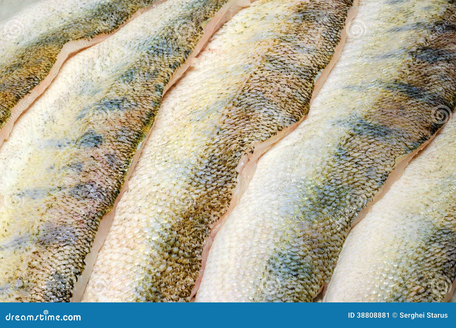 Merluccius fillet stock image. Image of fresh, freshness - 38808881