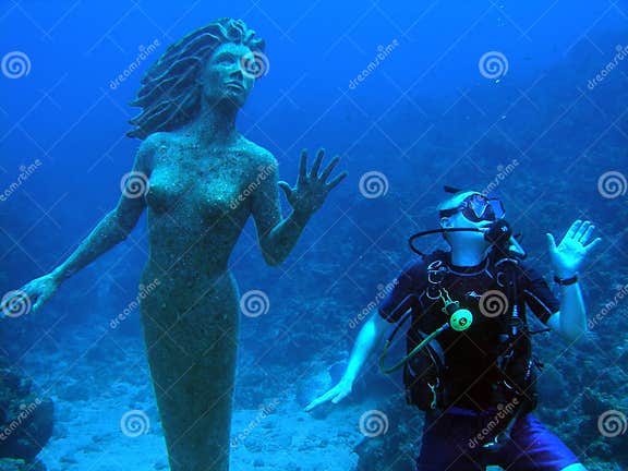 Mermaid and diver stock photo. Image of saltwater, diving - 7768958