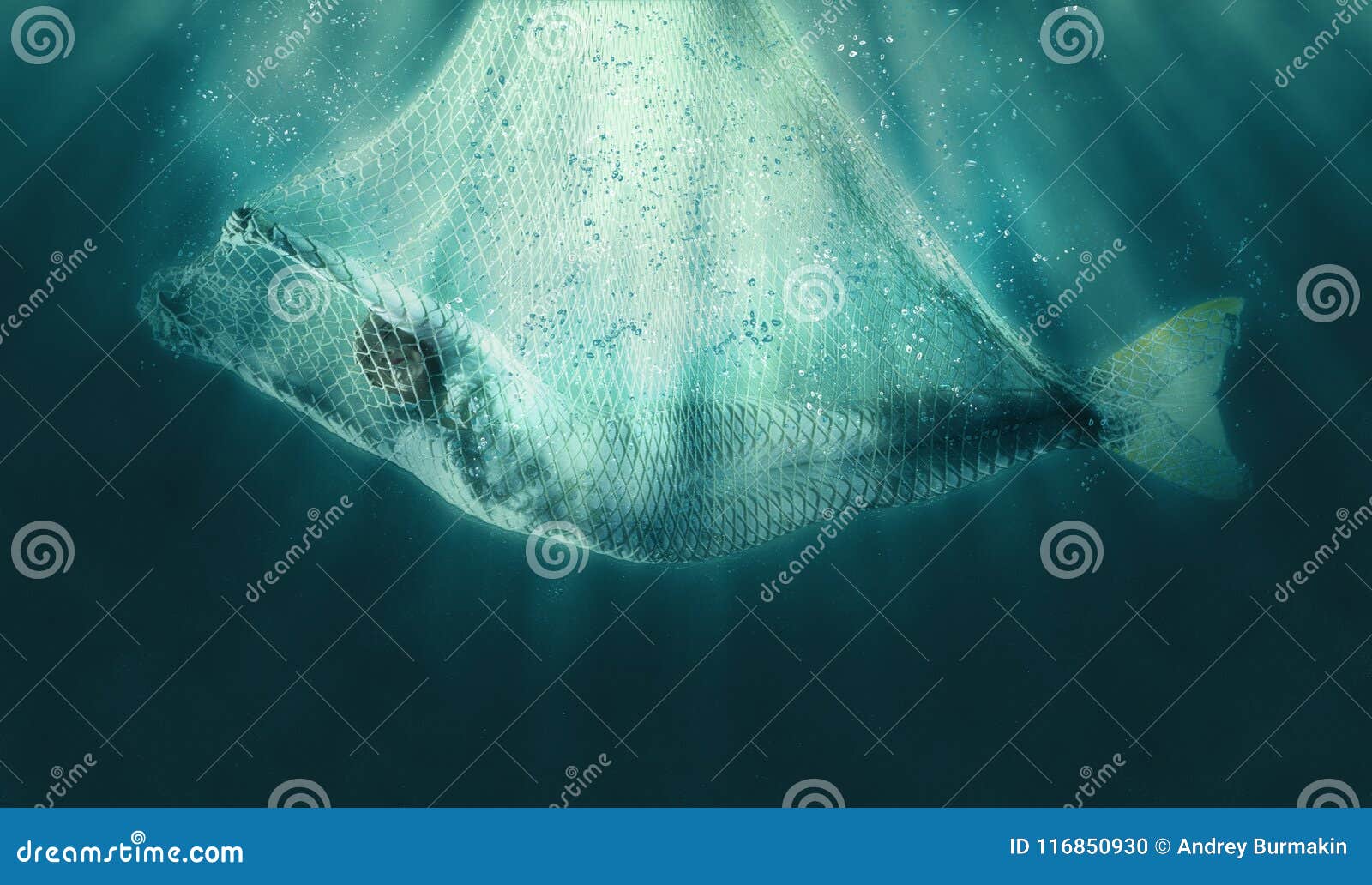 Mermaid in fishing nets stock photo. Image of caucasian - 116850930
