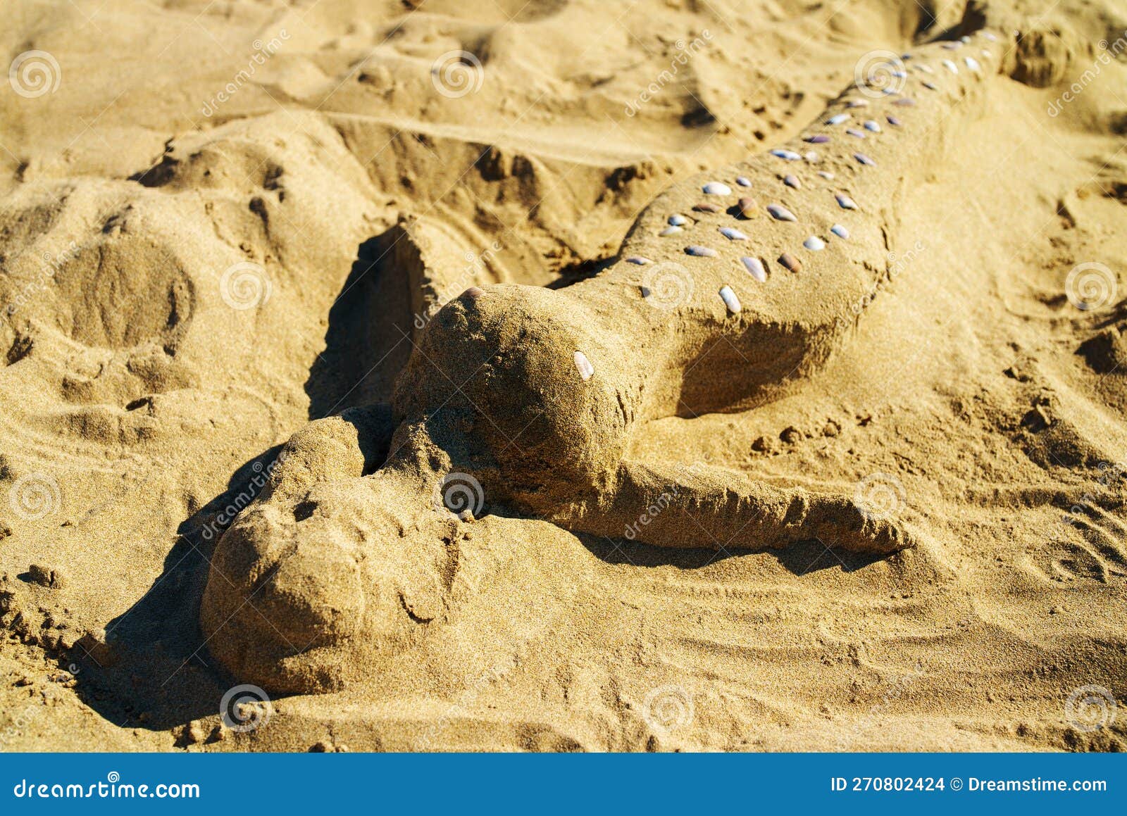 Mermaid Made of Sand and Shells Stock Photo - Image of shore, princess ...