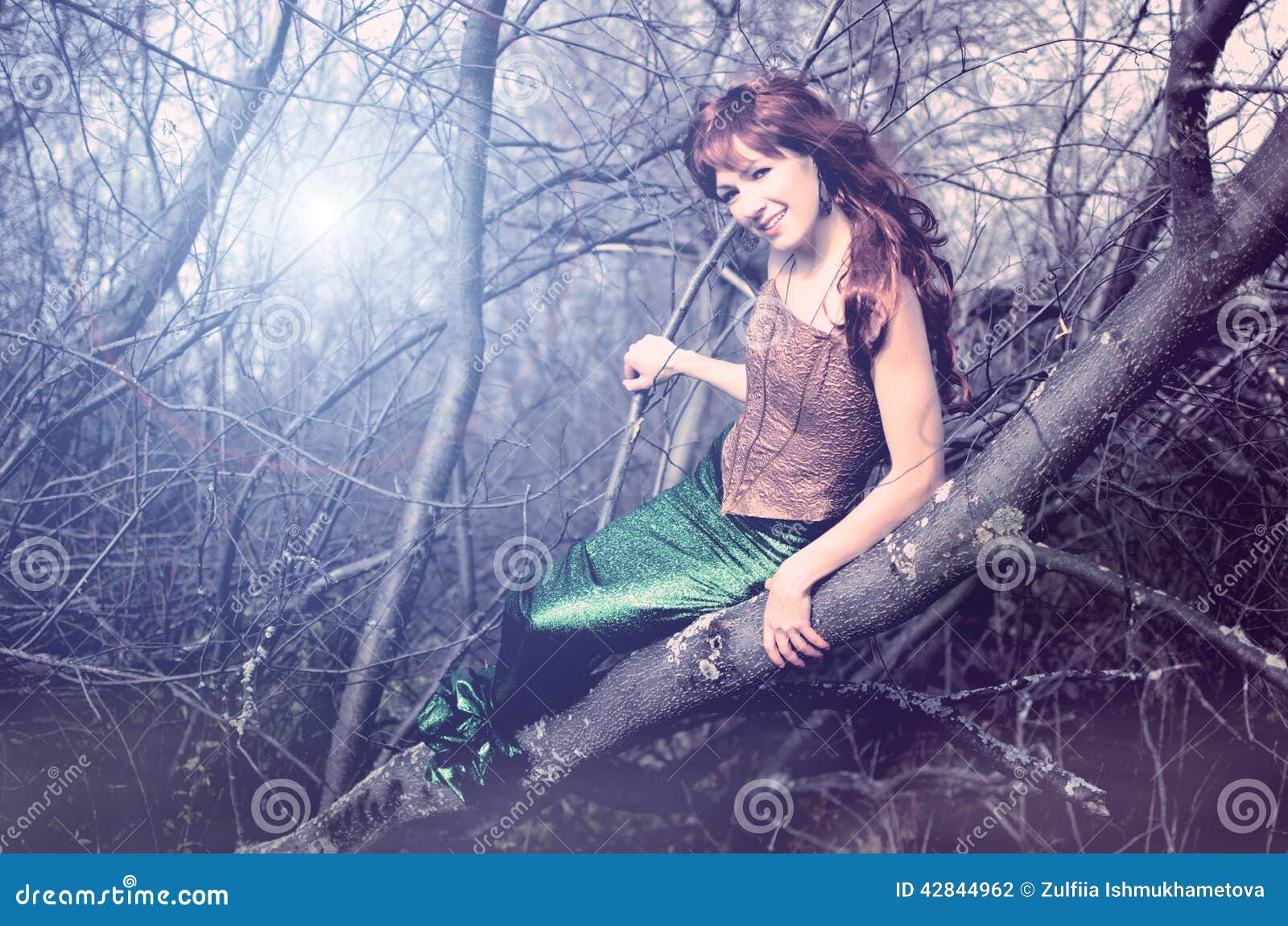 Mermaid sits in a tree stock photo. Image of magic, adult - 42844962
