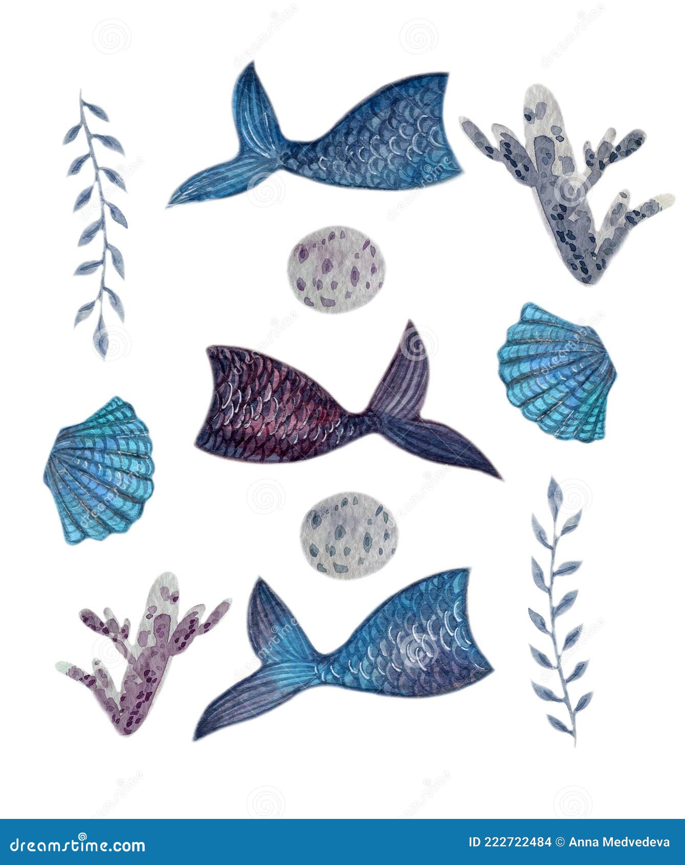 Mermaid Tails, Shells, Seaweed Set Stock Illustration - Illustration of ...