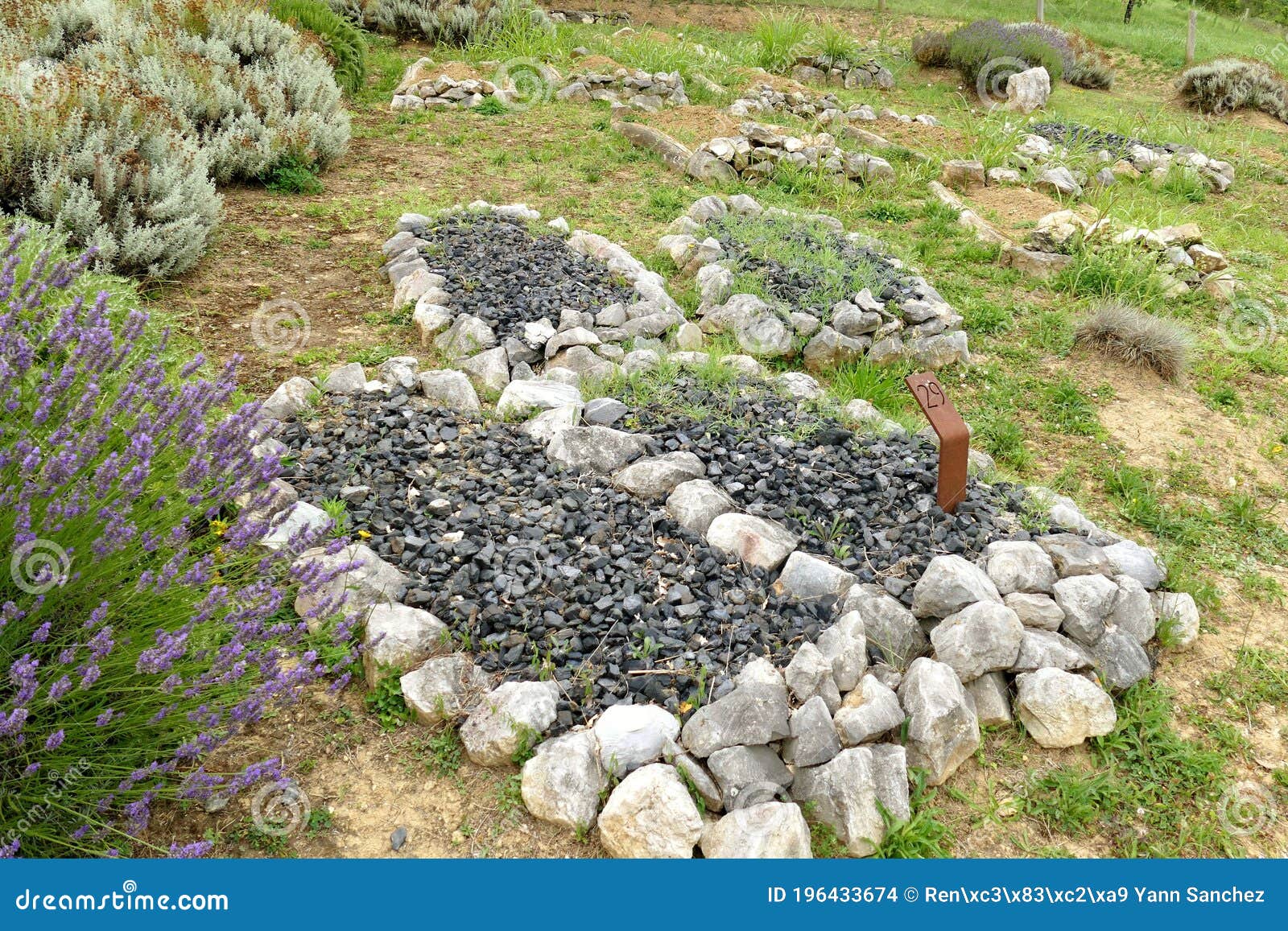 Merovingian Necropolis of Tabariane in Teilhet Stock Photo - Image of ...