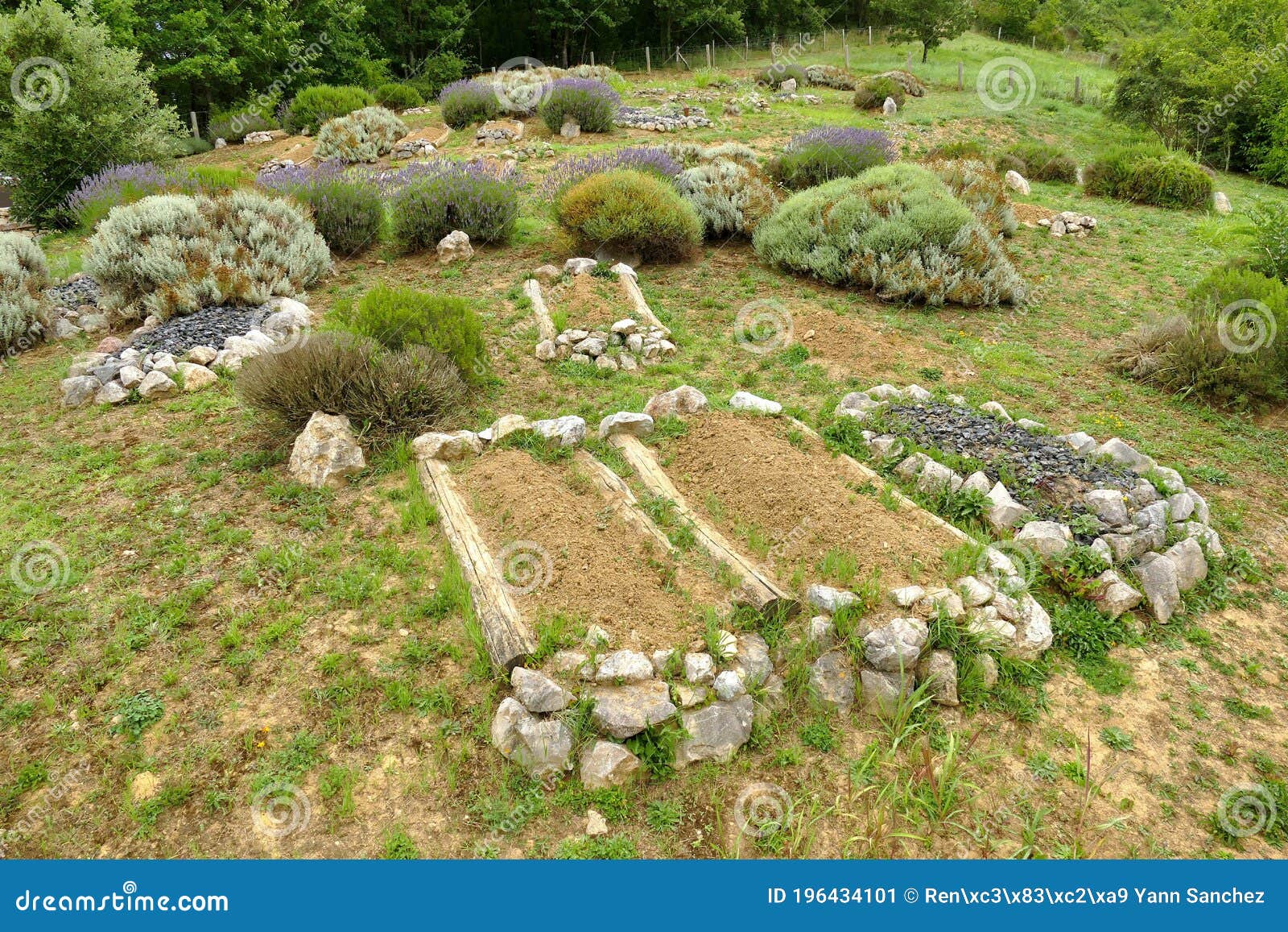 Merovingian Necropolis of Tabariane in Teilhet Stock Image - Image of ...