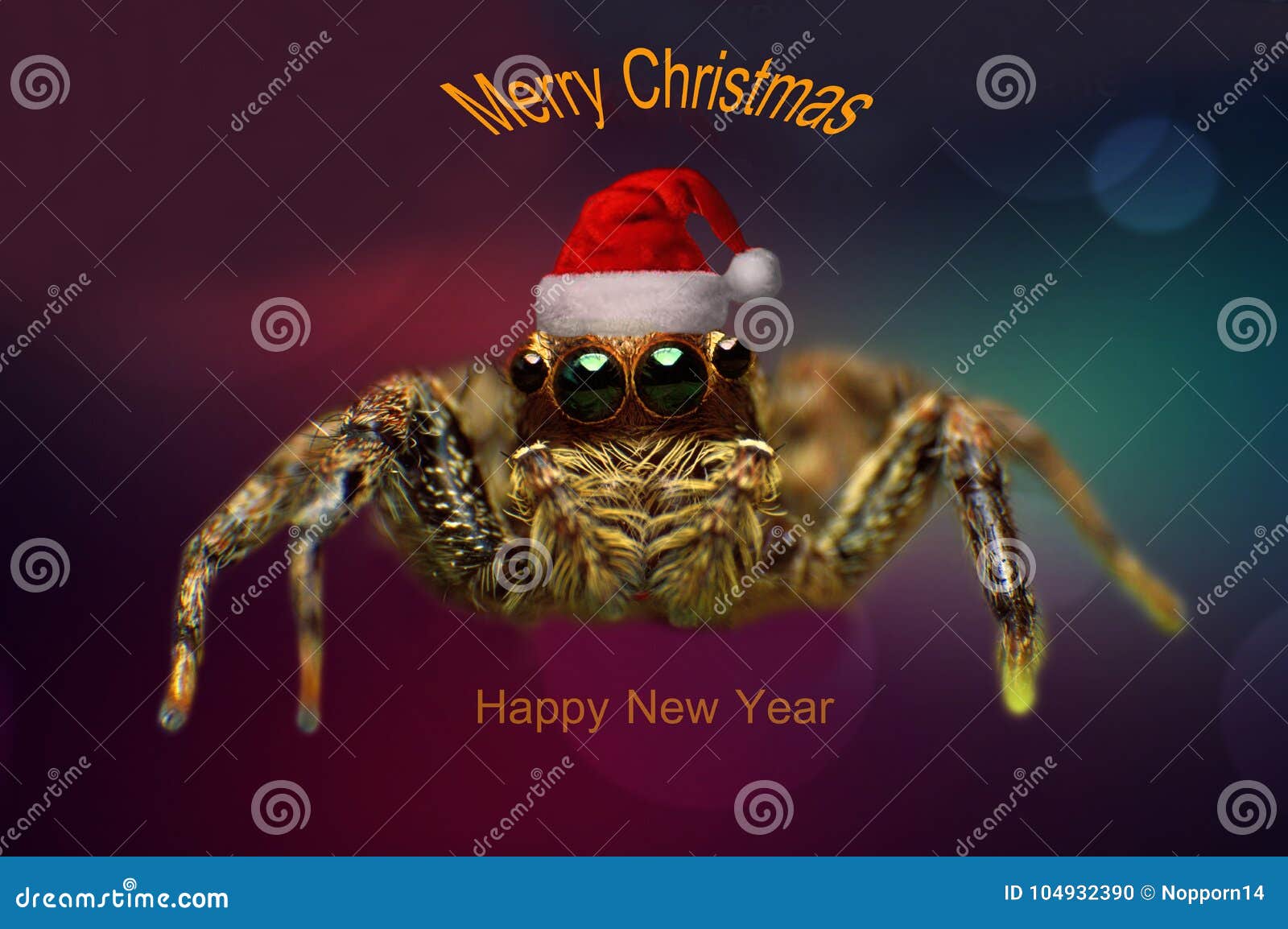 Merry Christmas Background with 2018 Spider Insect Macro Stock Photo ...